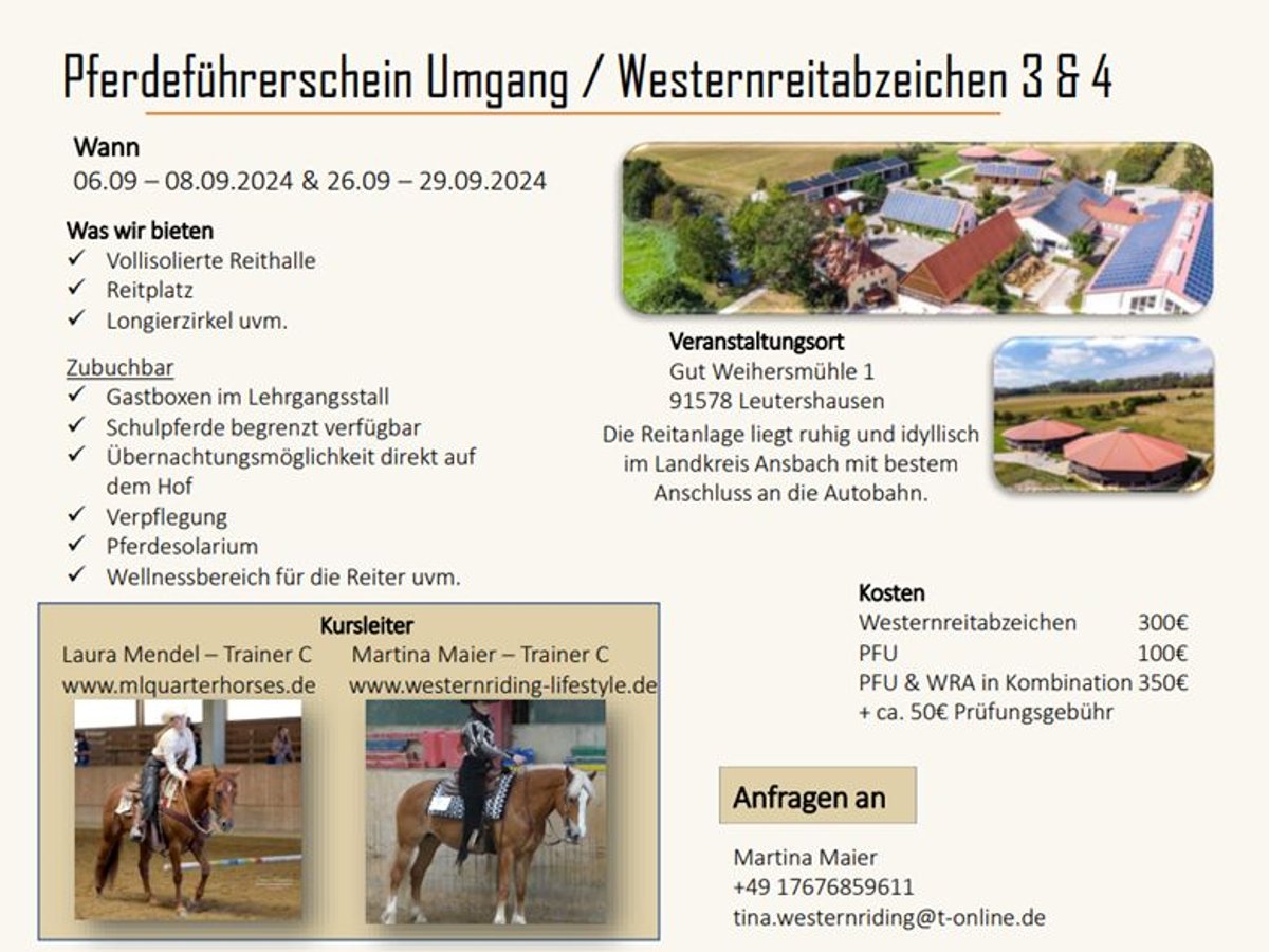 Pferdeführerschein Umgang / Westernreitabzeichen 3 & 4