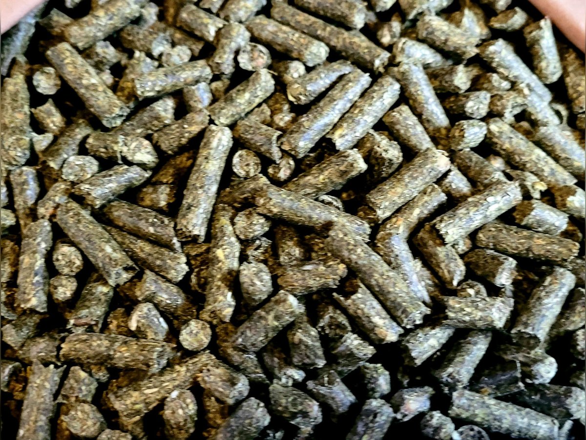 Luzerne/Alfalfa Pellets 5 mm