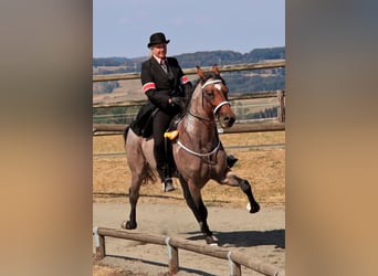 Standardbreds for sale | ehorses.com