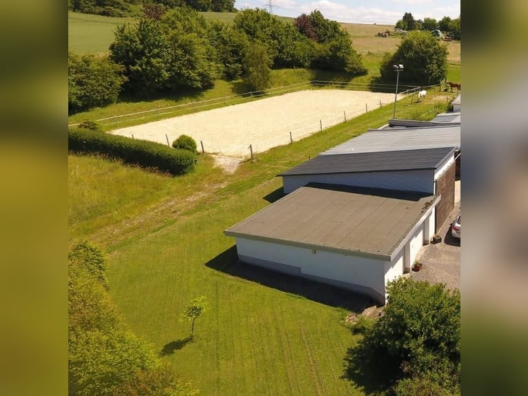 Equestrian facility with four stables for rent