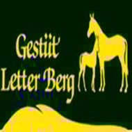 Gestüt Letter Berg - ehorses premium seller