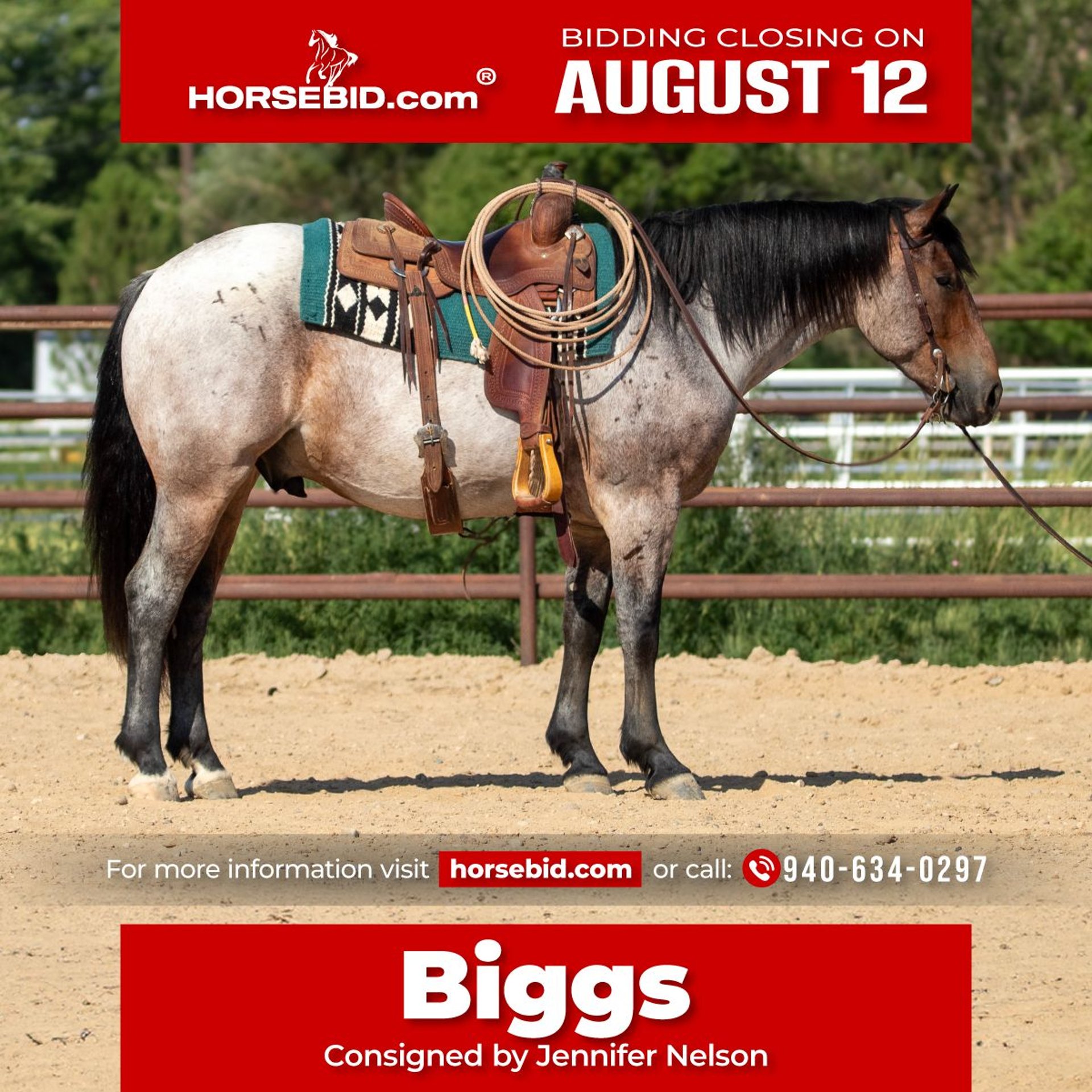 Draft Horse Mix Gelding 3 years 15,3 hh Roan-Bay in Kirtland