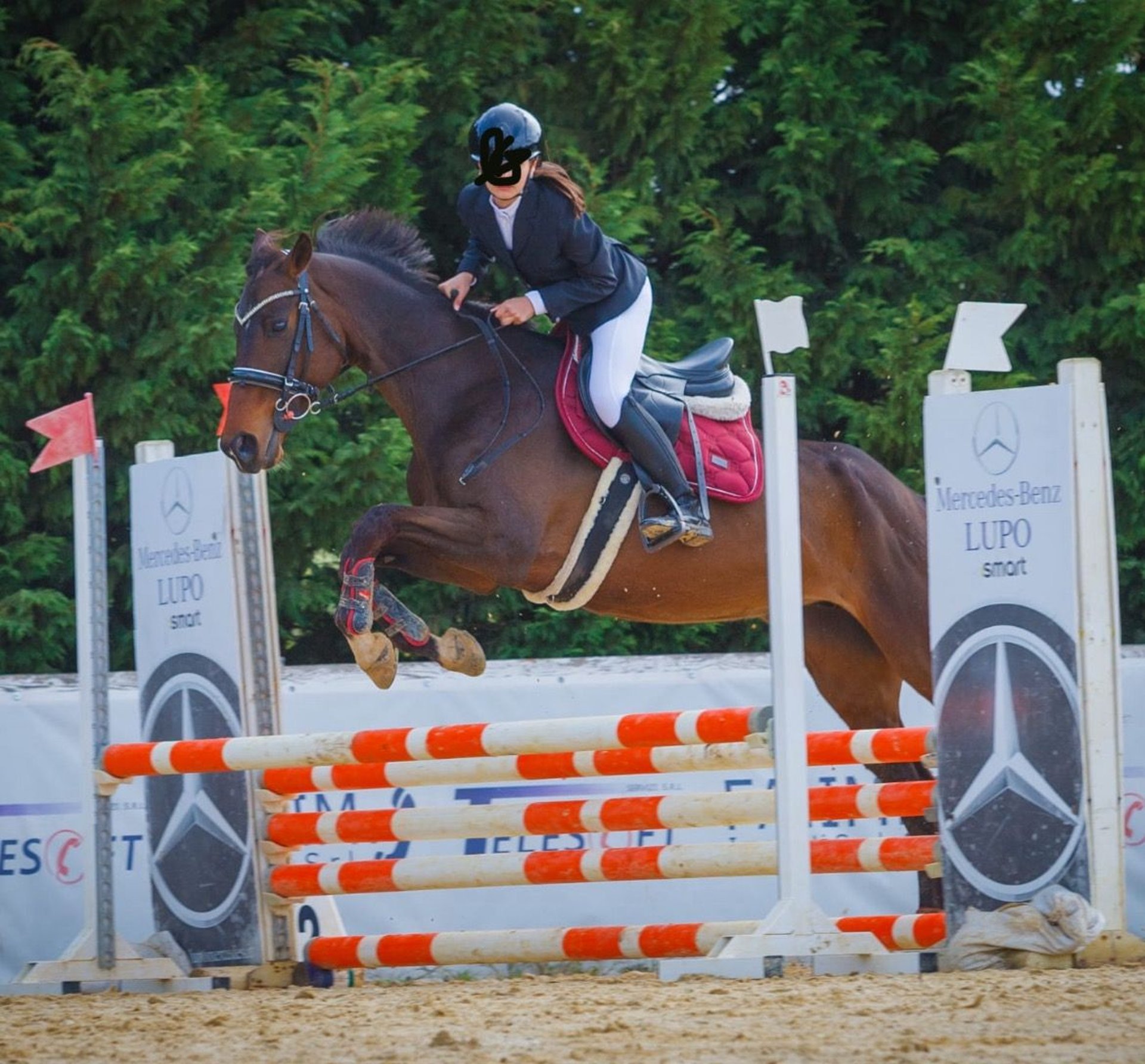 Sella Italiano Mare 15 years 15,2 hh Bay-Dark in Cefalù