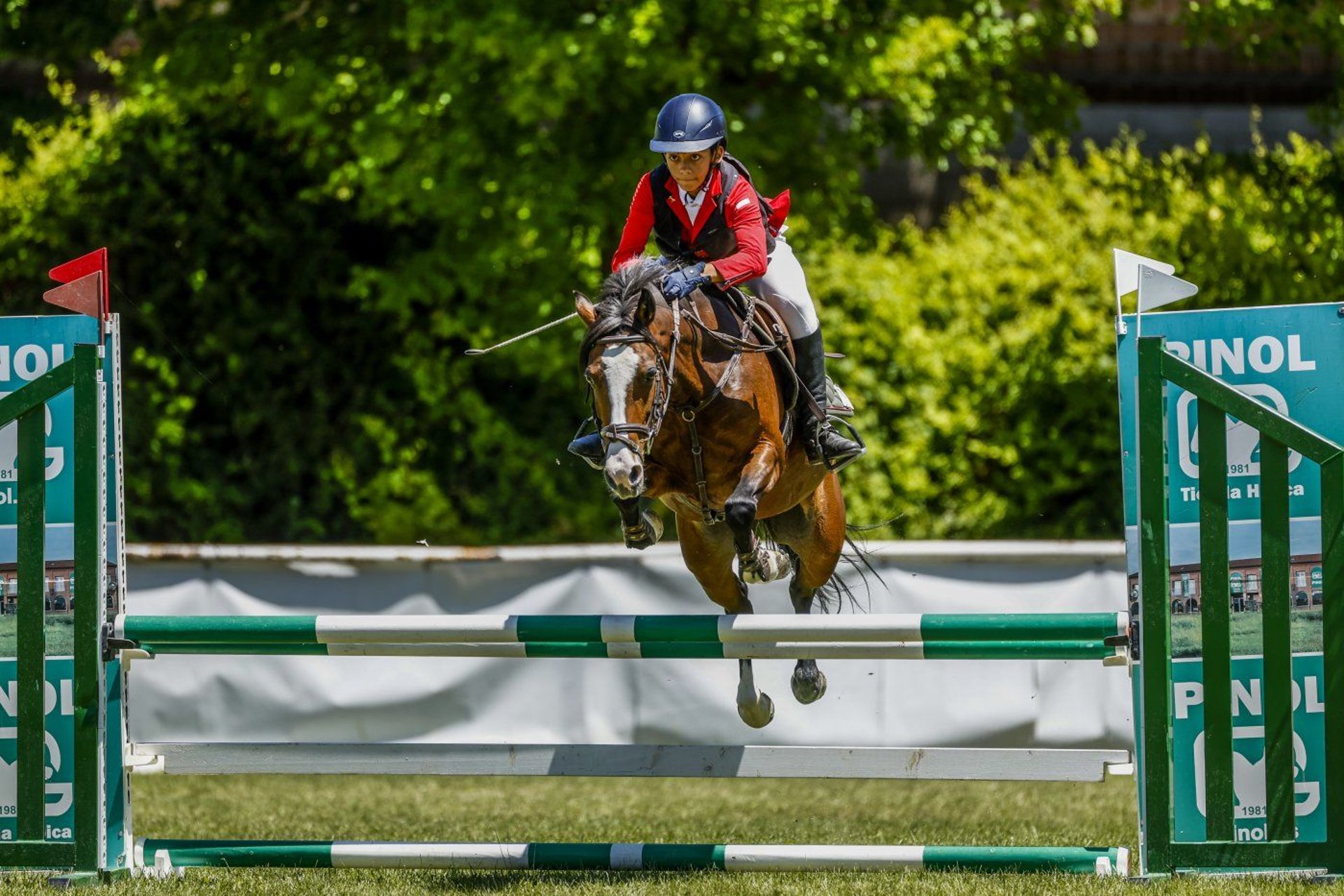 Weitere Ponys/Kleinpferde Stute 12 Jahre 127 cm Brauner in Soto Del Real