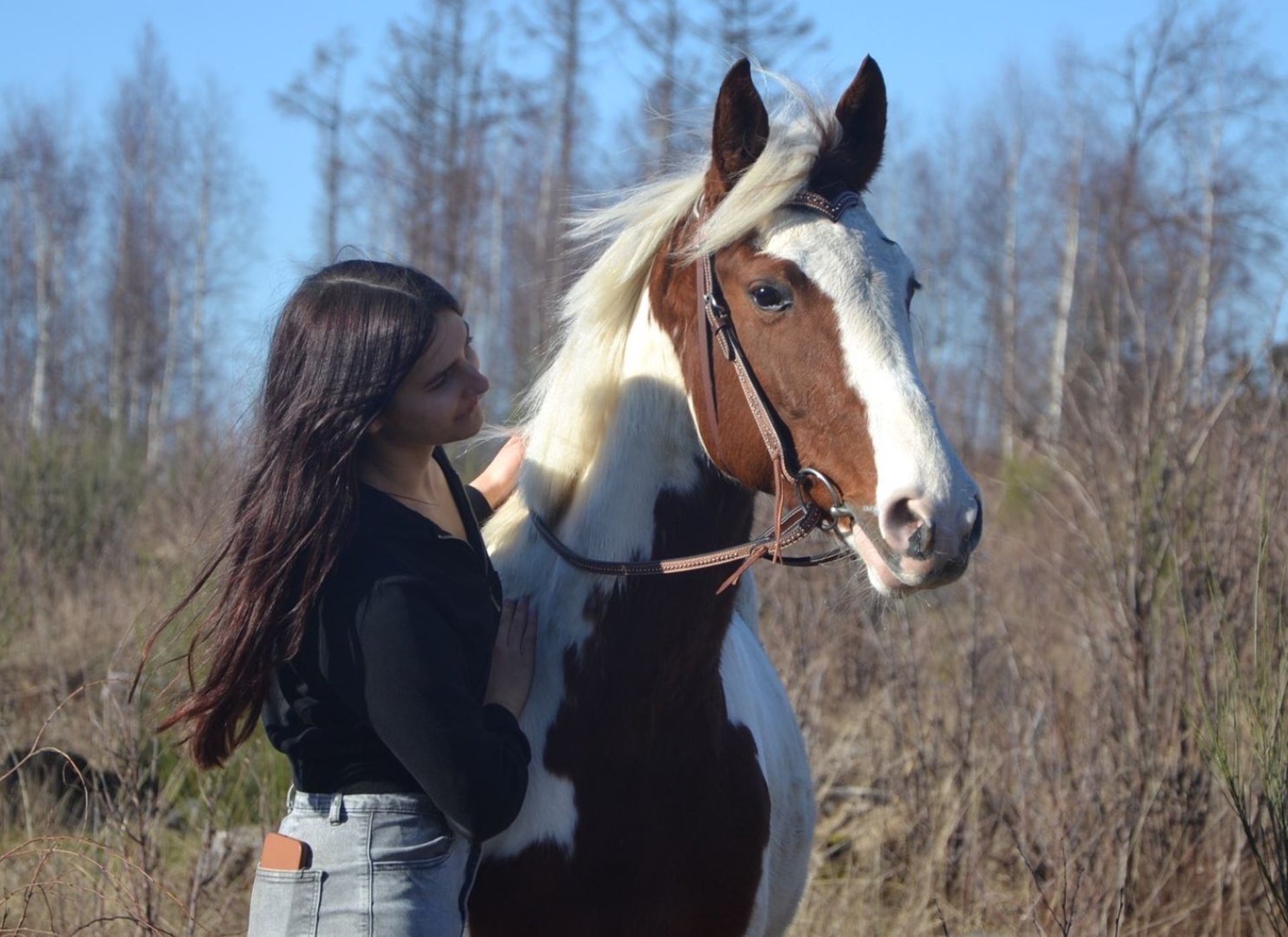 Meer ponys/kleine paarden Mix Ruin 4 Jaar 148 cm Gevlekt-paard in Netphen