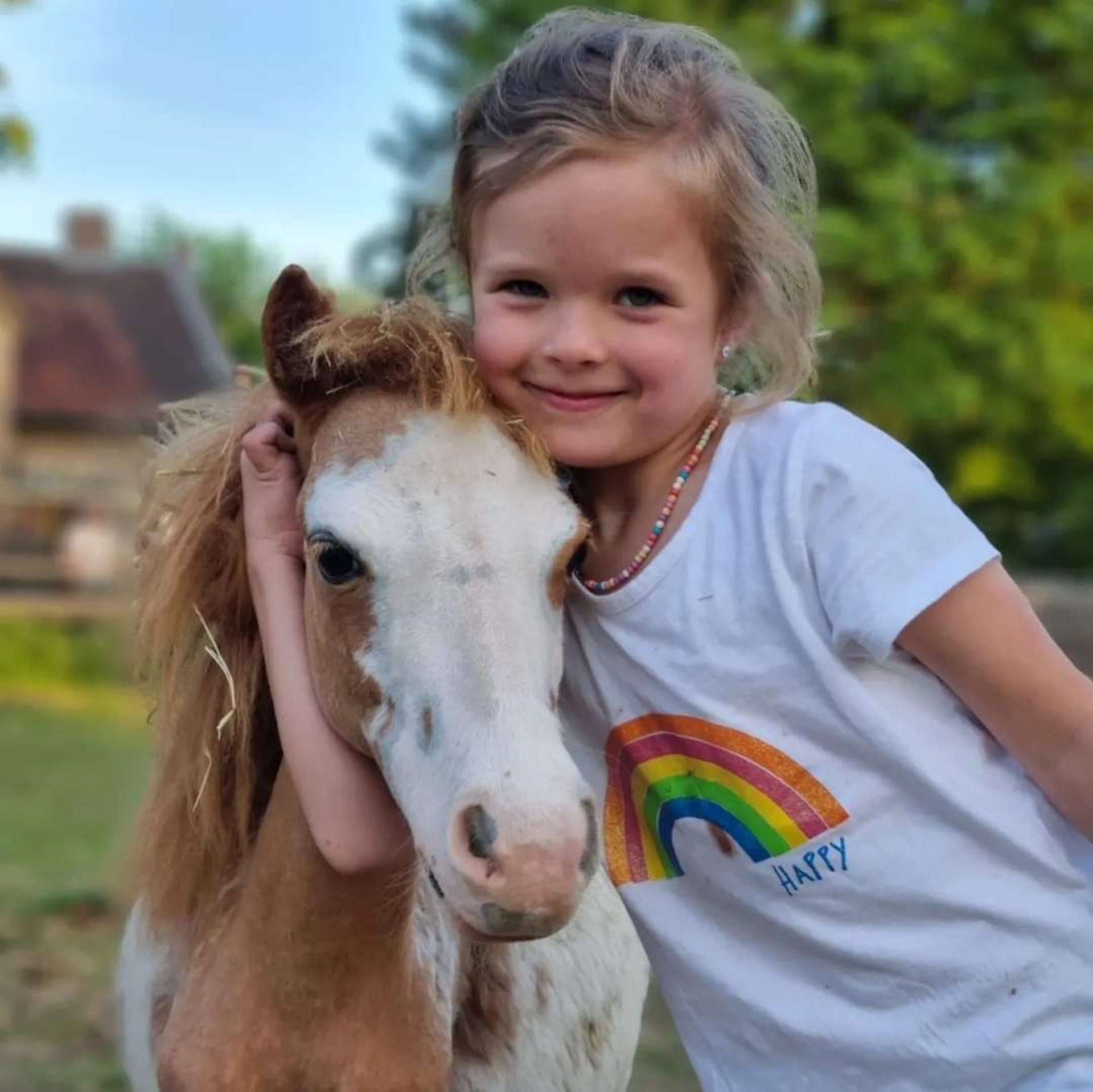 American Miniature Horse Stallion 1 year Overo-all-colors in Söhlde
