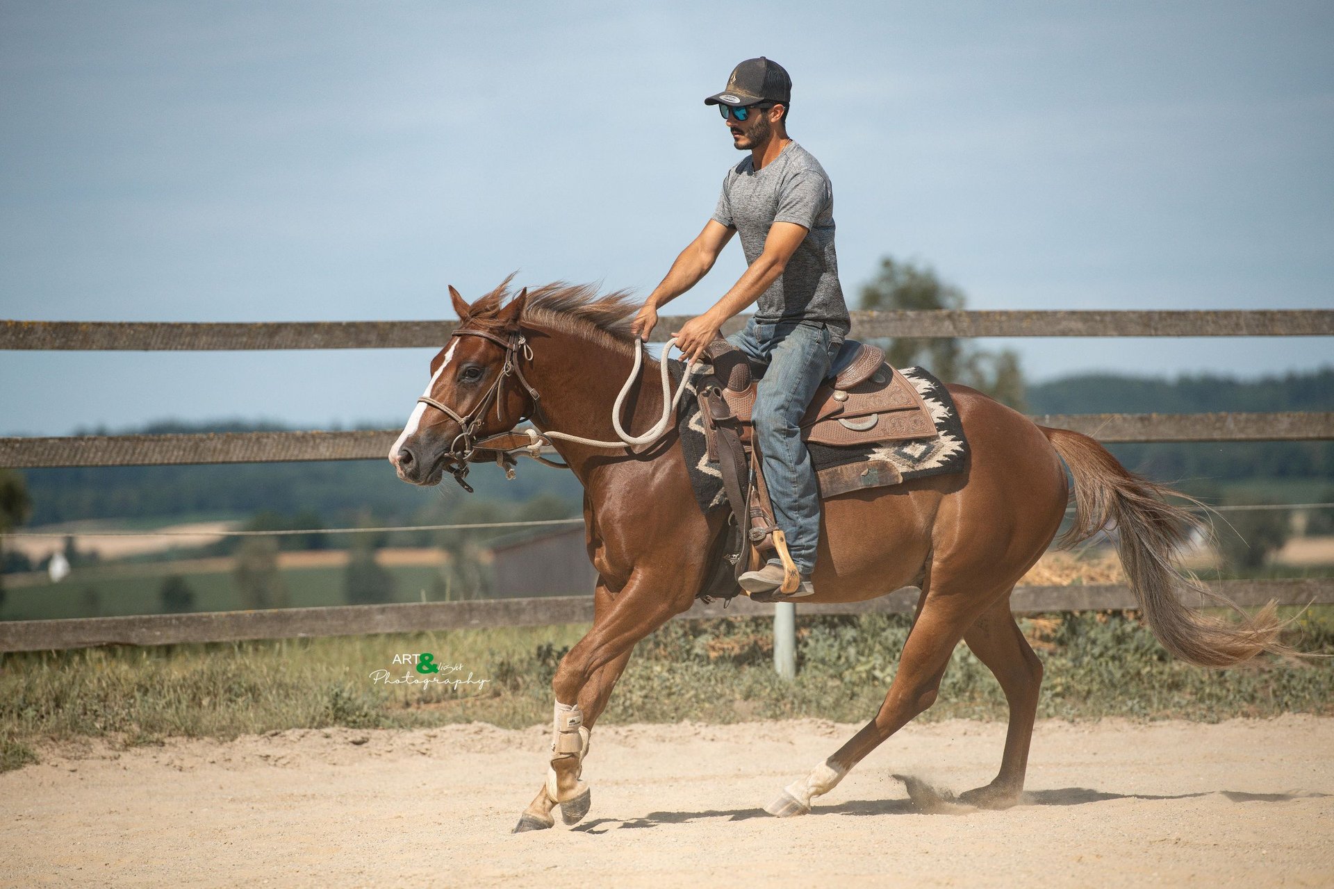 American Quarter Horse Wallach 3 Jahre 144 cm Fuchs in Königsmoos
