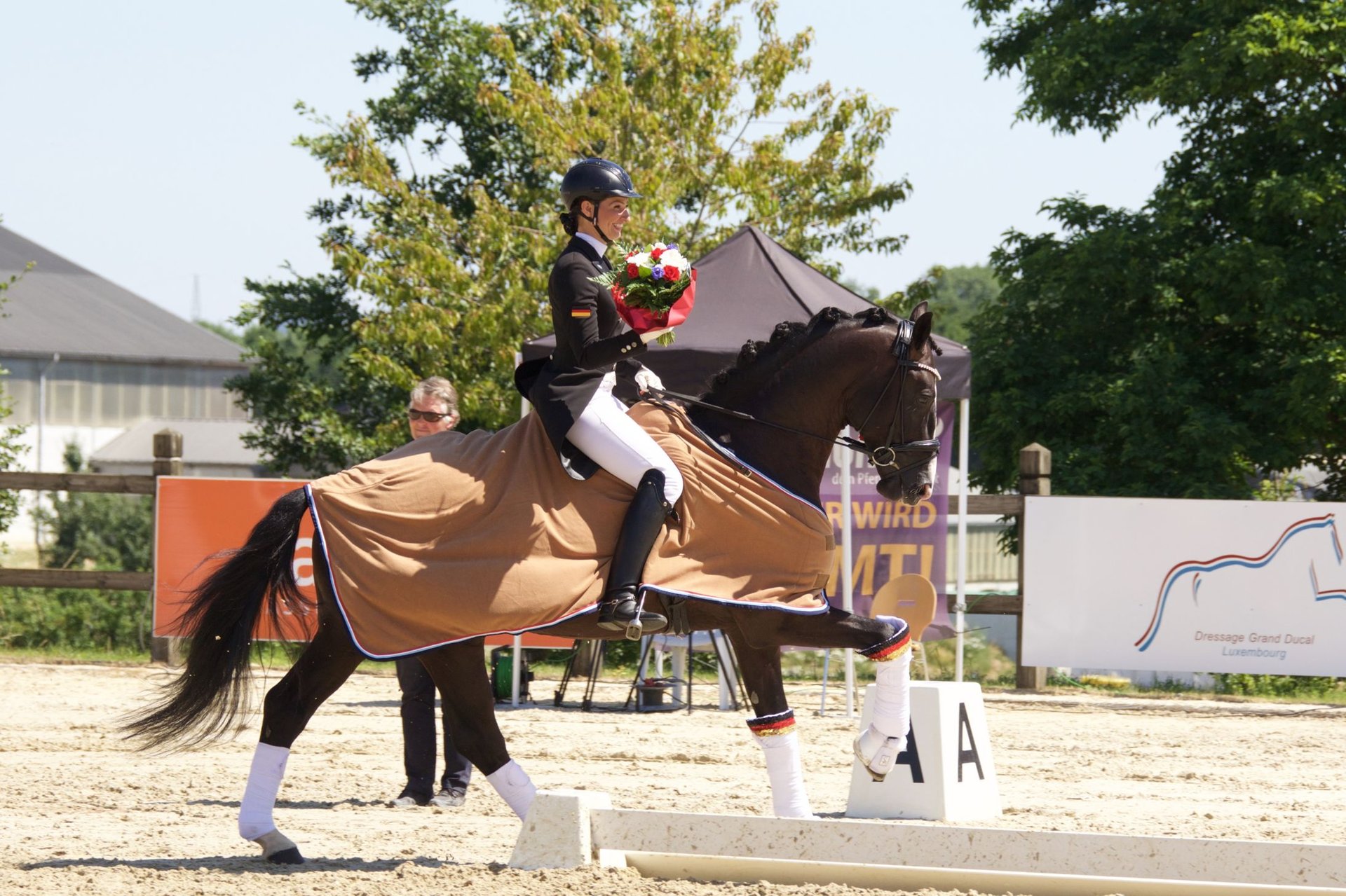 GRANDPRIX DECKHENGST TITOLAS (TOTILAS X STEDINGER) Hanoverian Stallion ...