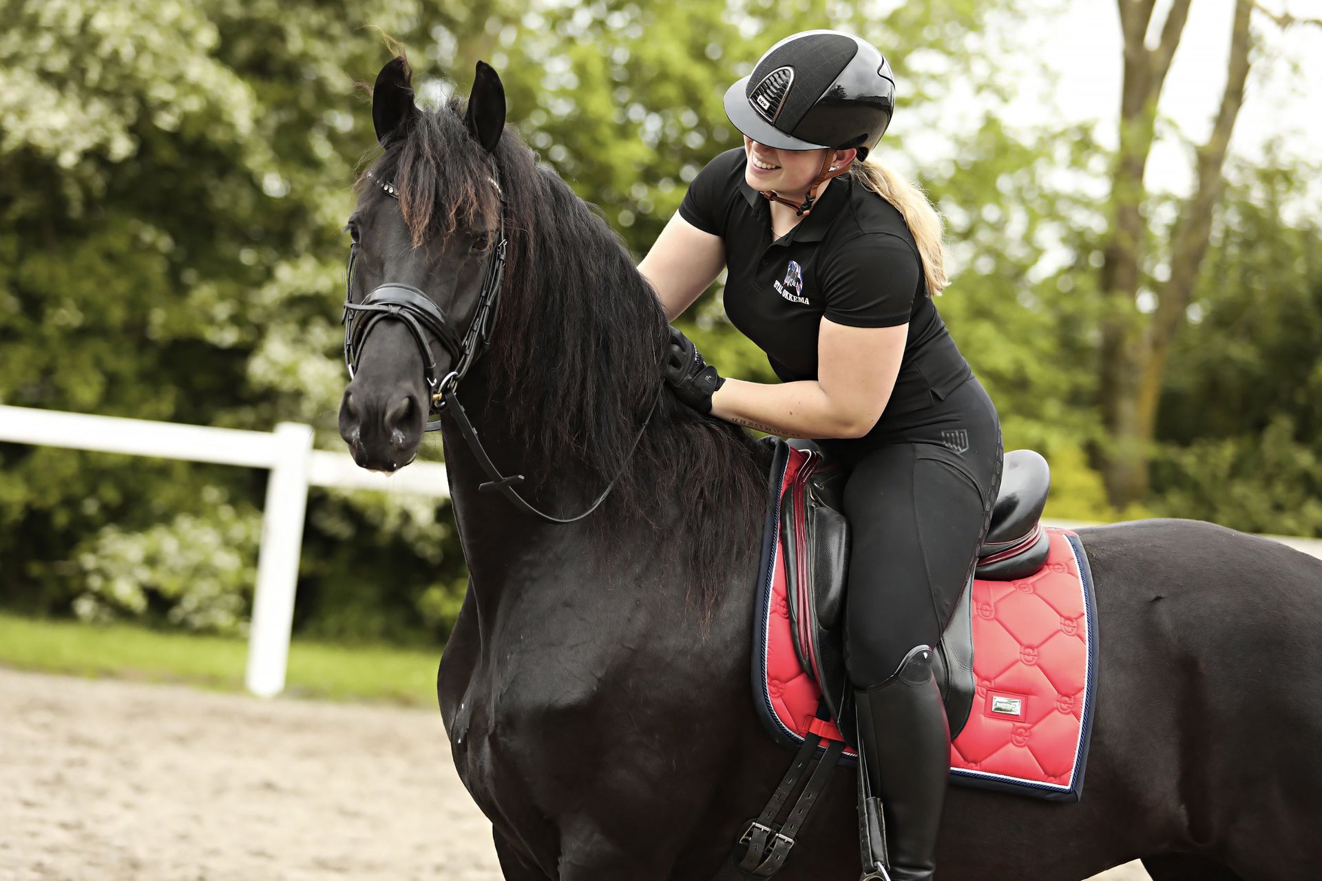 Friesian horses Mare 7 years 16 hh Black in Britswert