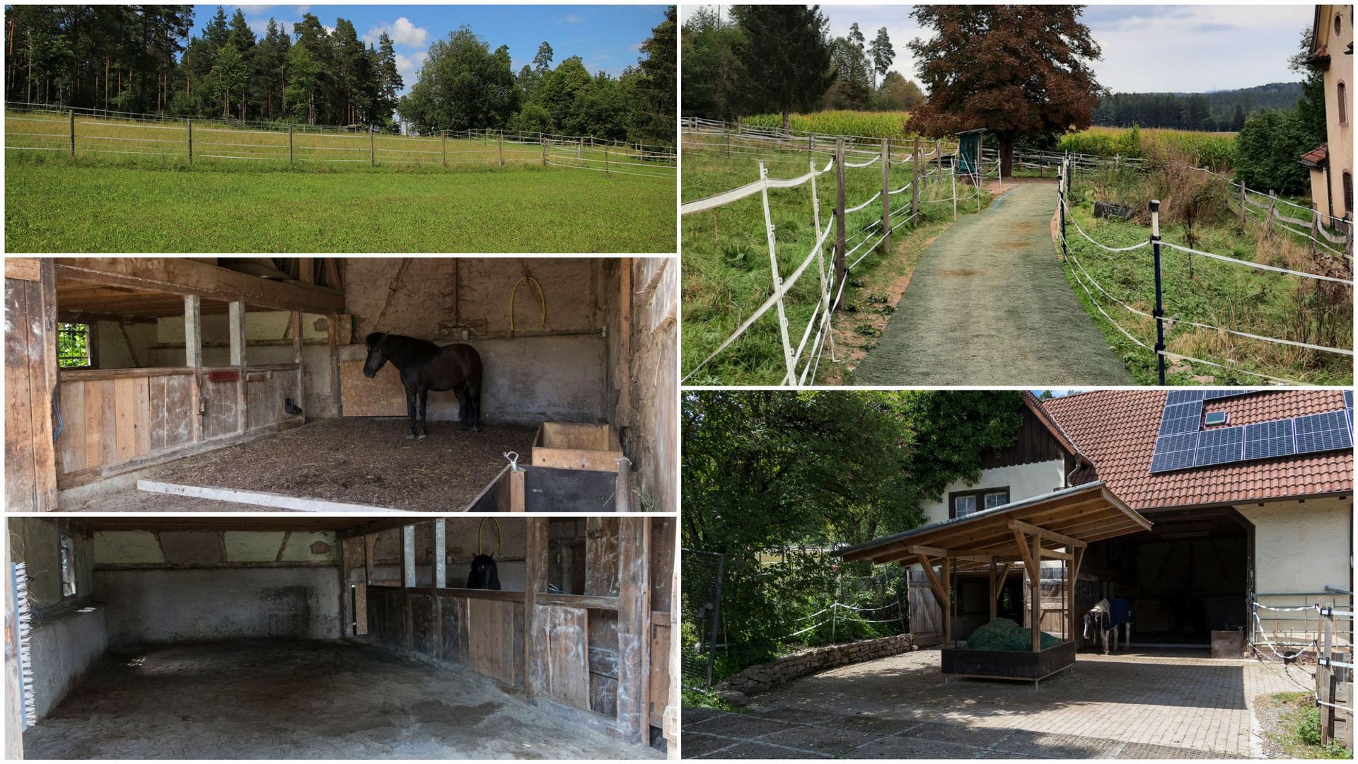 2 freie Plätze in Offenstall mit Paddock Trail