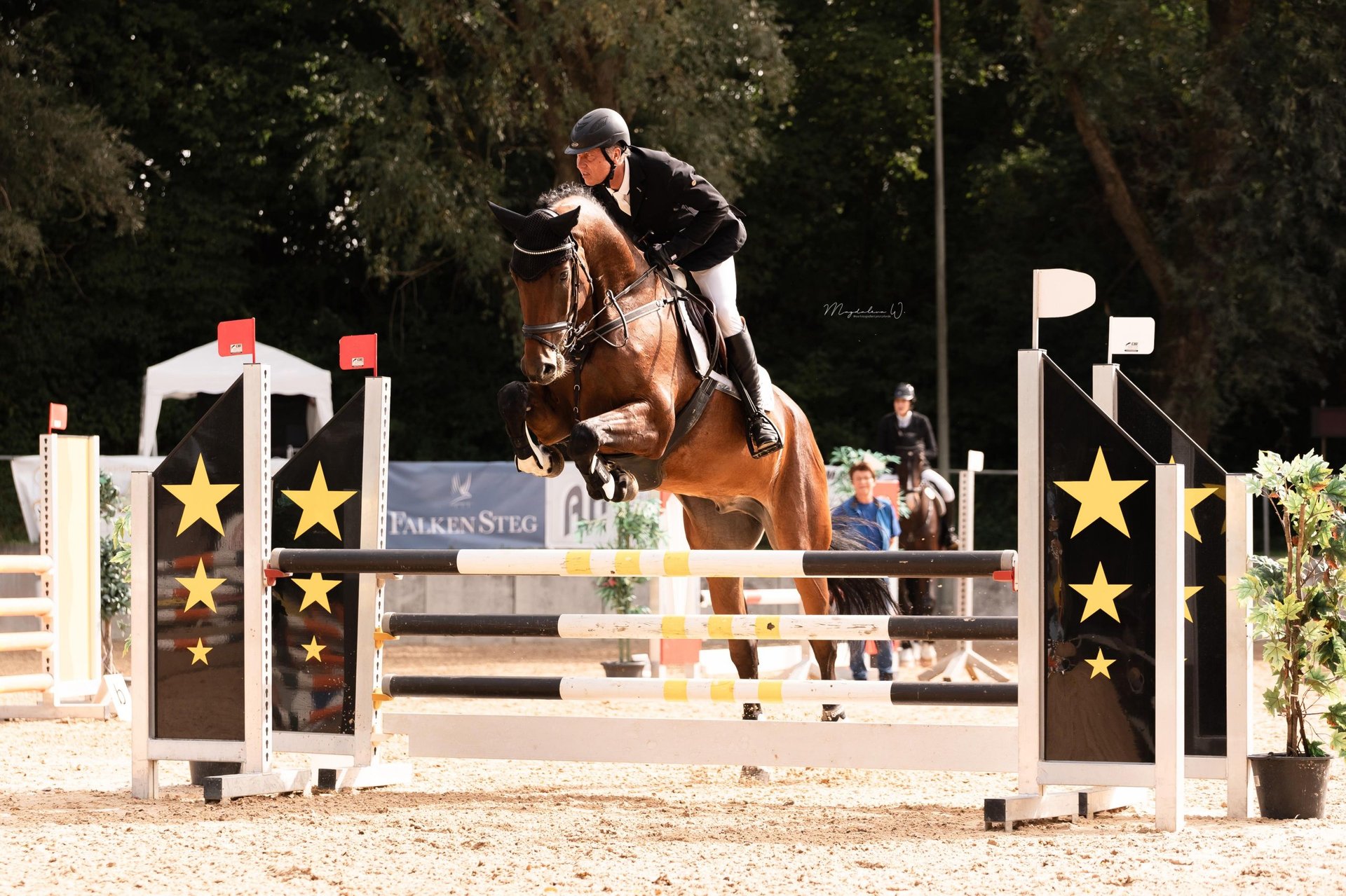 German Sport Horse Gelding 8 years 17 hh Brown in Kümmersbruck