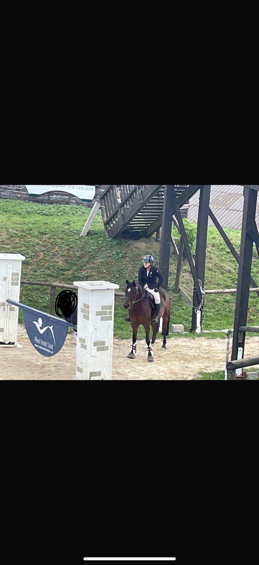 Ungarisches Sportpferd Mix Wallach 9 Jahre 154 cm Dunkelbrauner in Margarethen am Moos