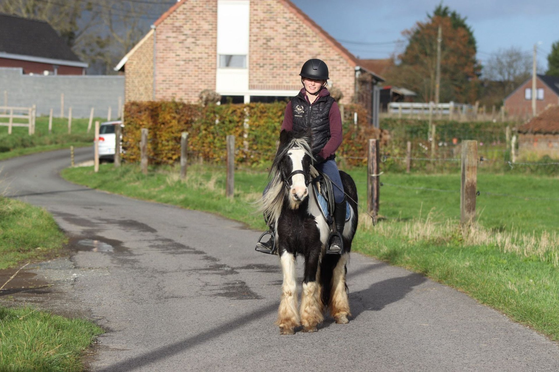Gypsy Horse Gelding 5 years 12 hh Pinto in Bogaarden