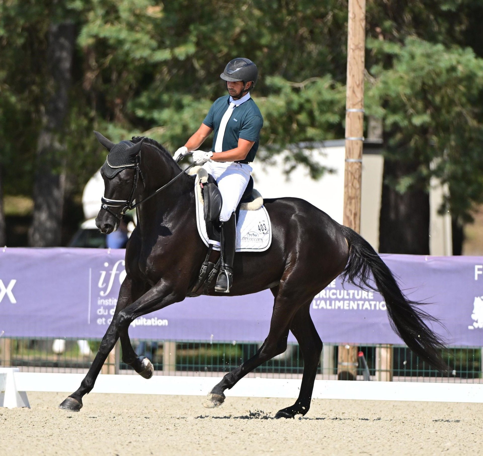 KWPN Klacz 6 lat 178 cm Kara in Ferte gauche
