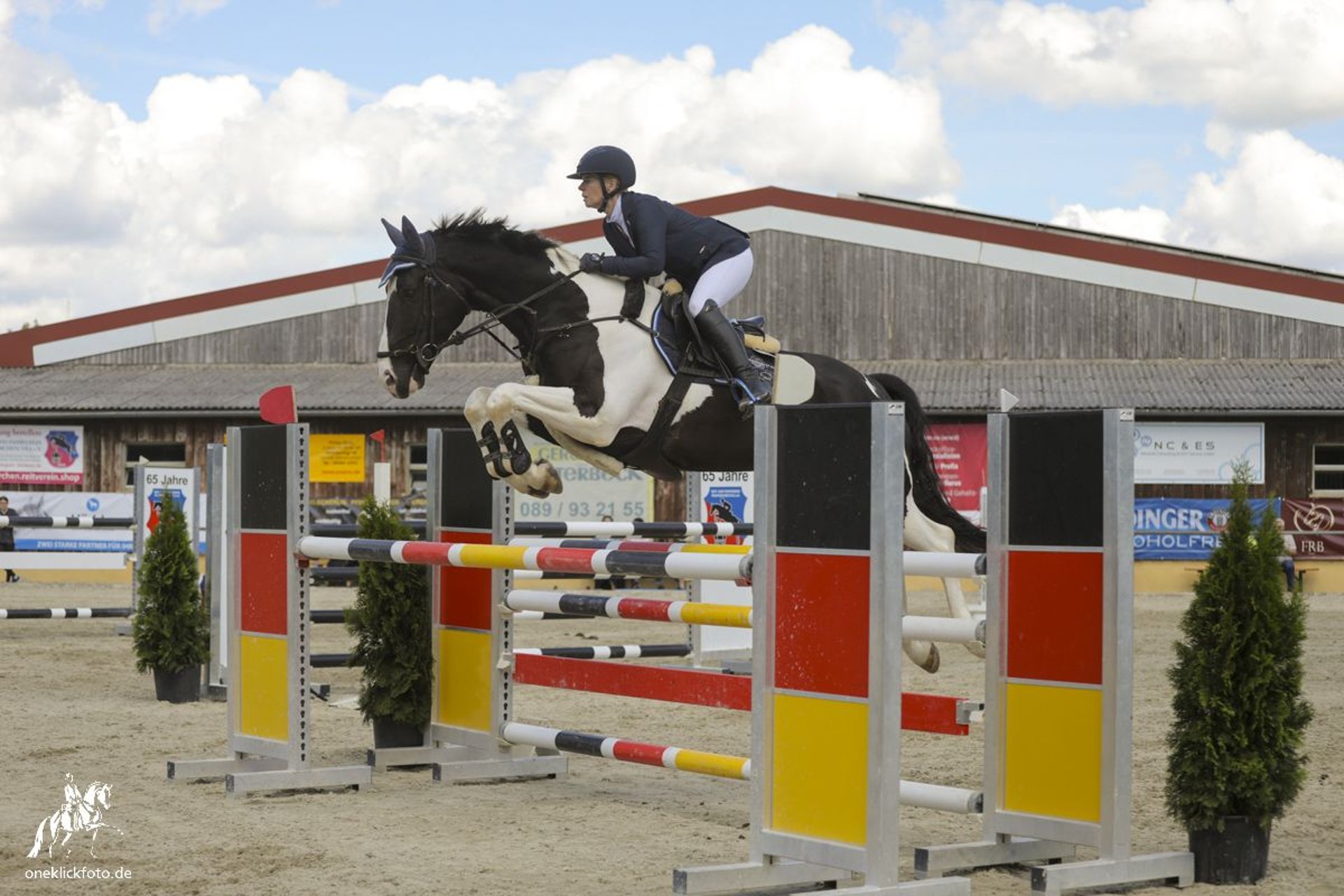 KWPN Gelding 7 years 16,1 hh Pinto in Loiching