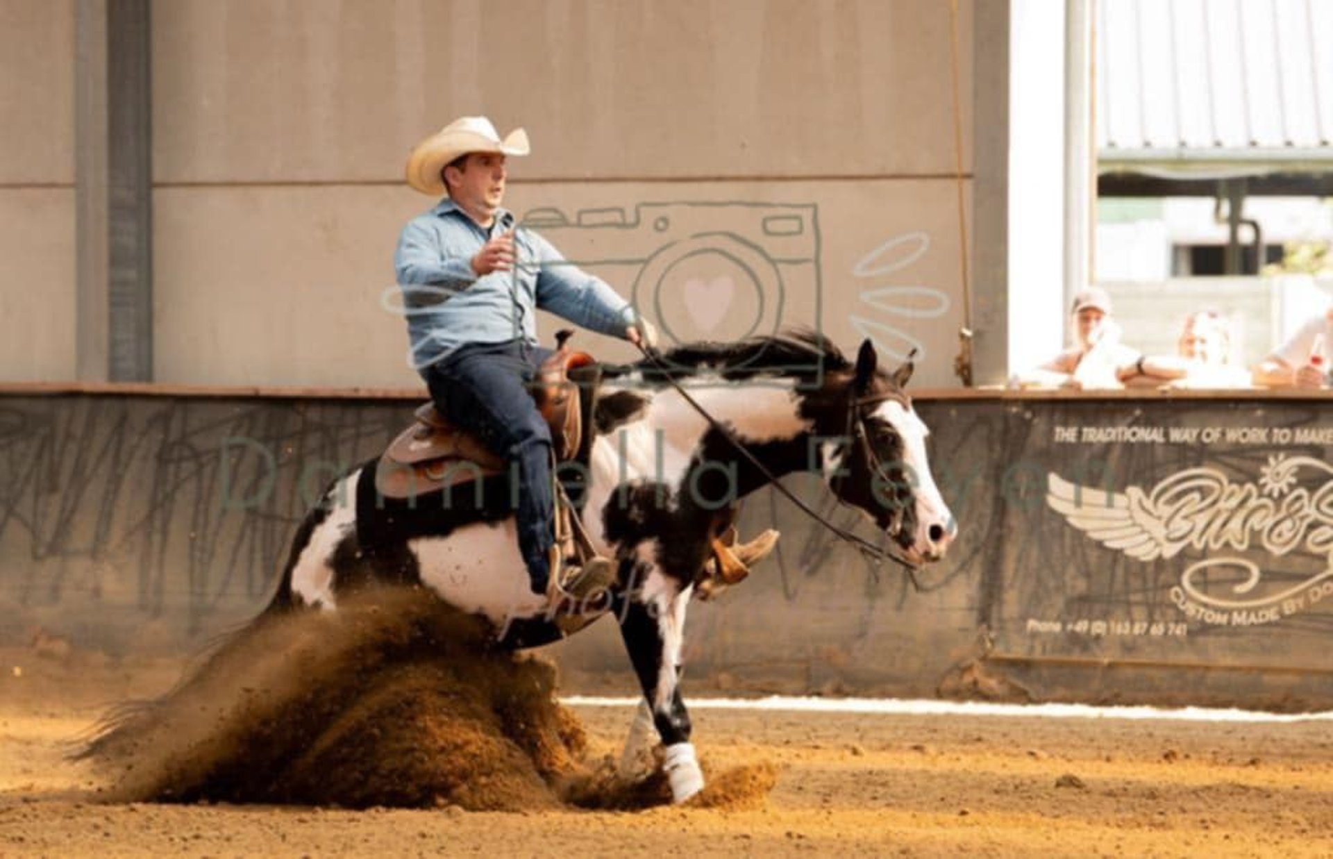 American Quarter Horse Stallion Overo-all-colors in Daknam
