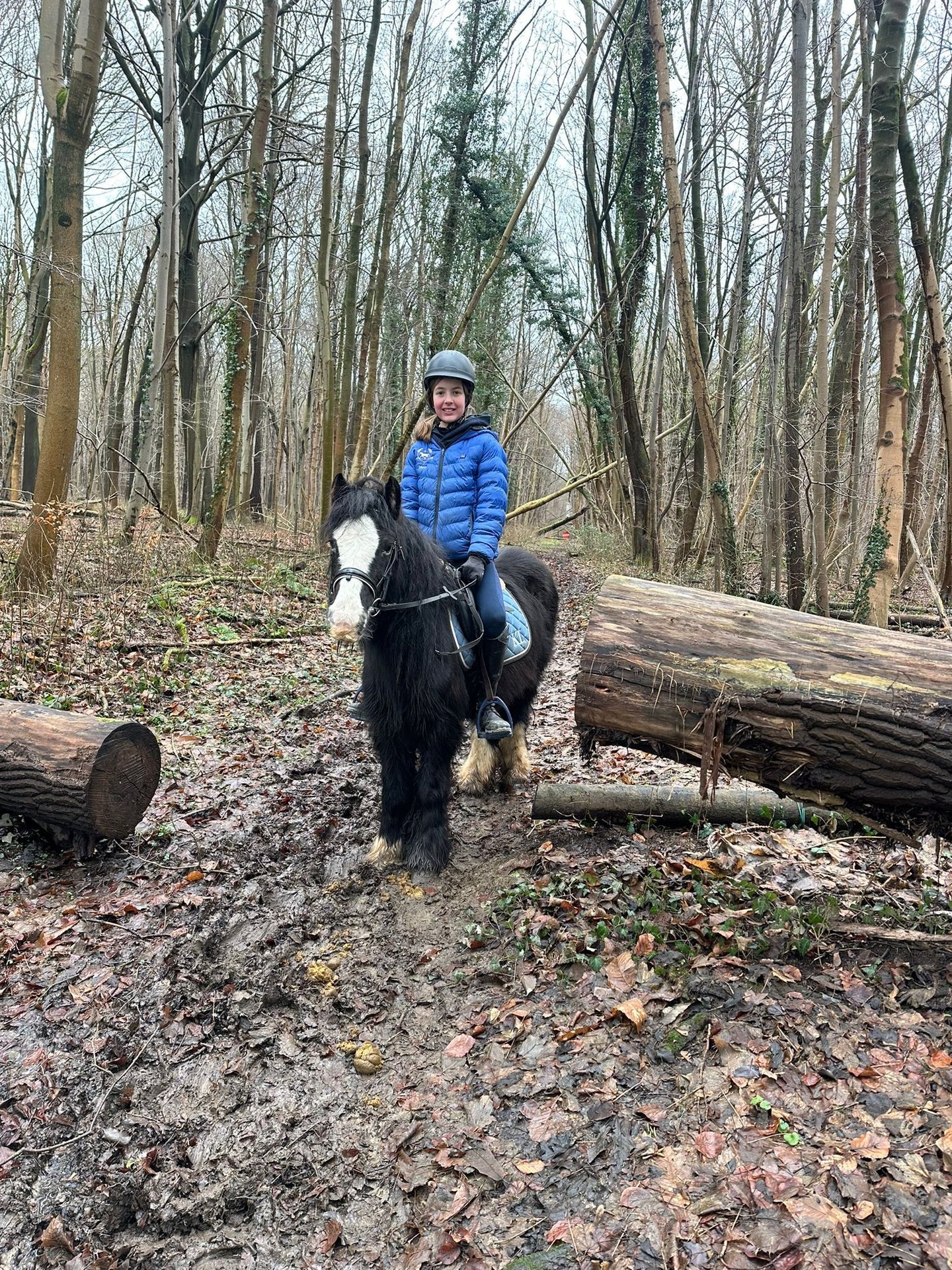 Tinker Merrie 11 Jaar 125 cm Zwart in Bogaarden
