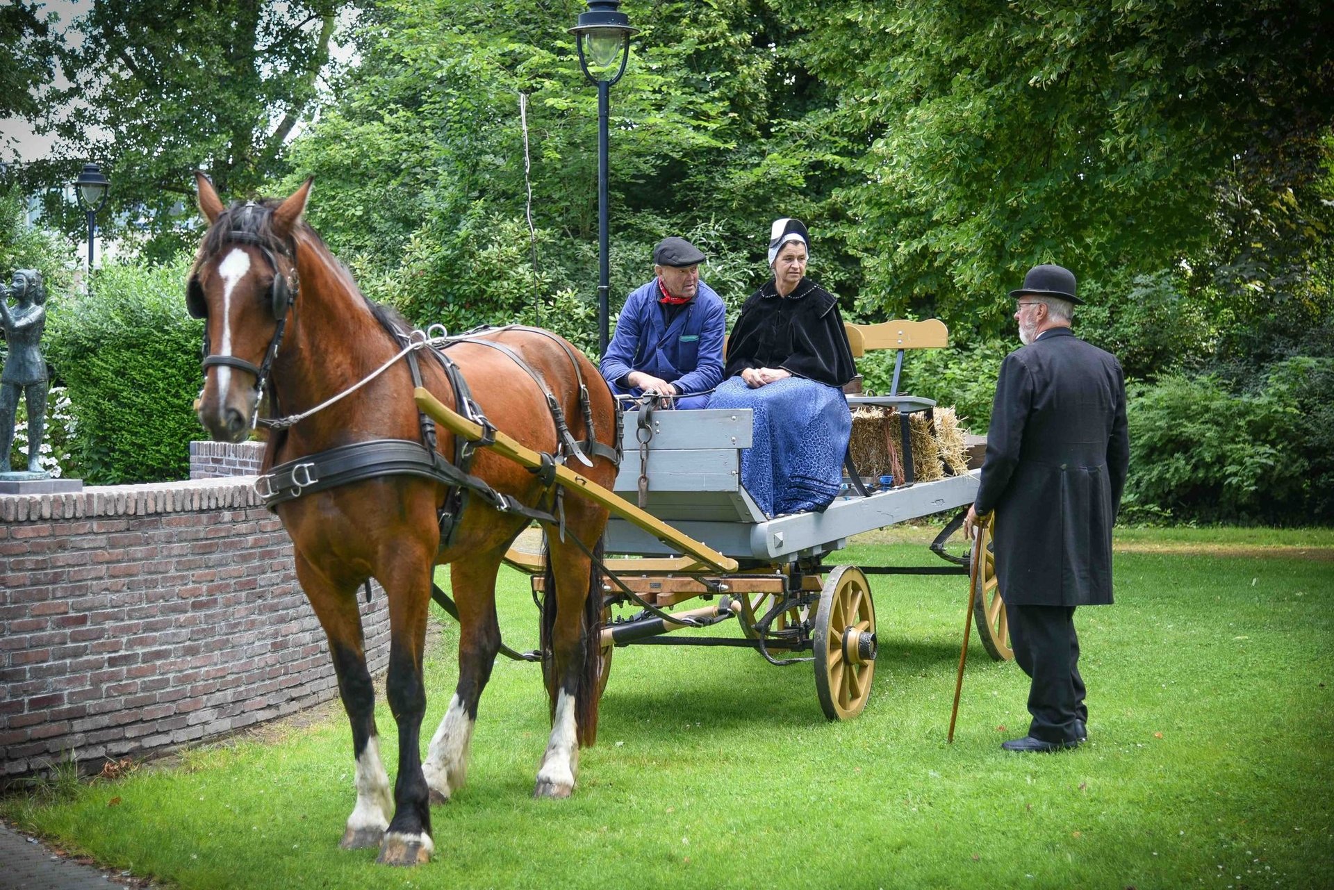 Shire Horse Mix Mare 4 years 17 hh Brown in Schagerbrug