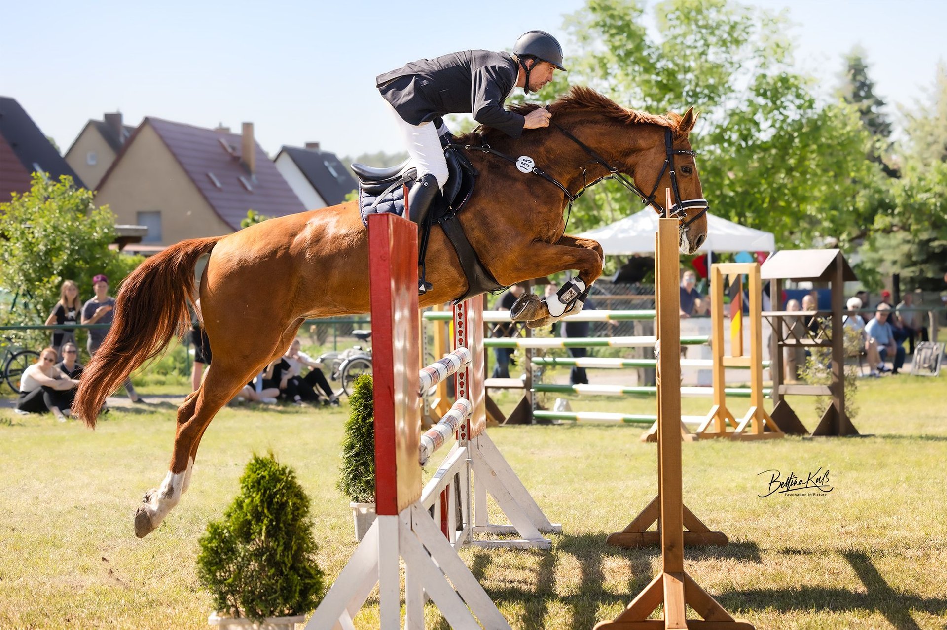 Oldenburg Mare 13 years Chestnut-Red in Rietz Neuendorf