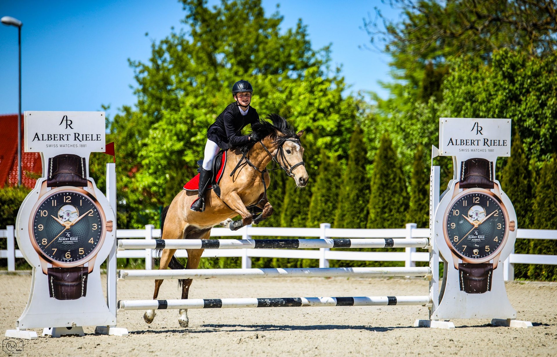 Weitere Ponys/Kleinpferde Wallach 5 Jahre 140 cm Buckskin in żnin