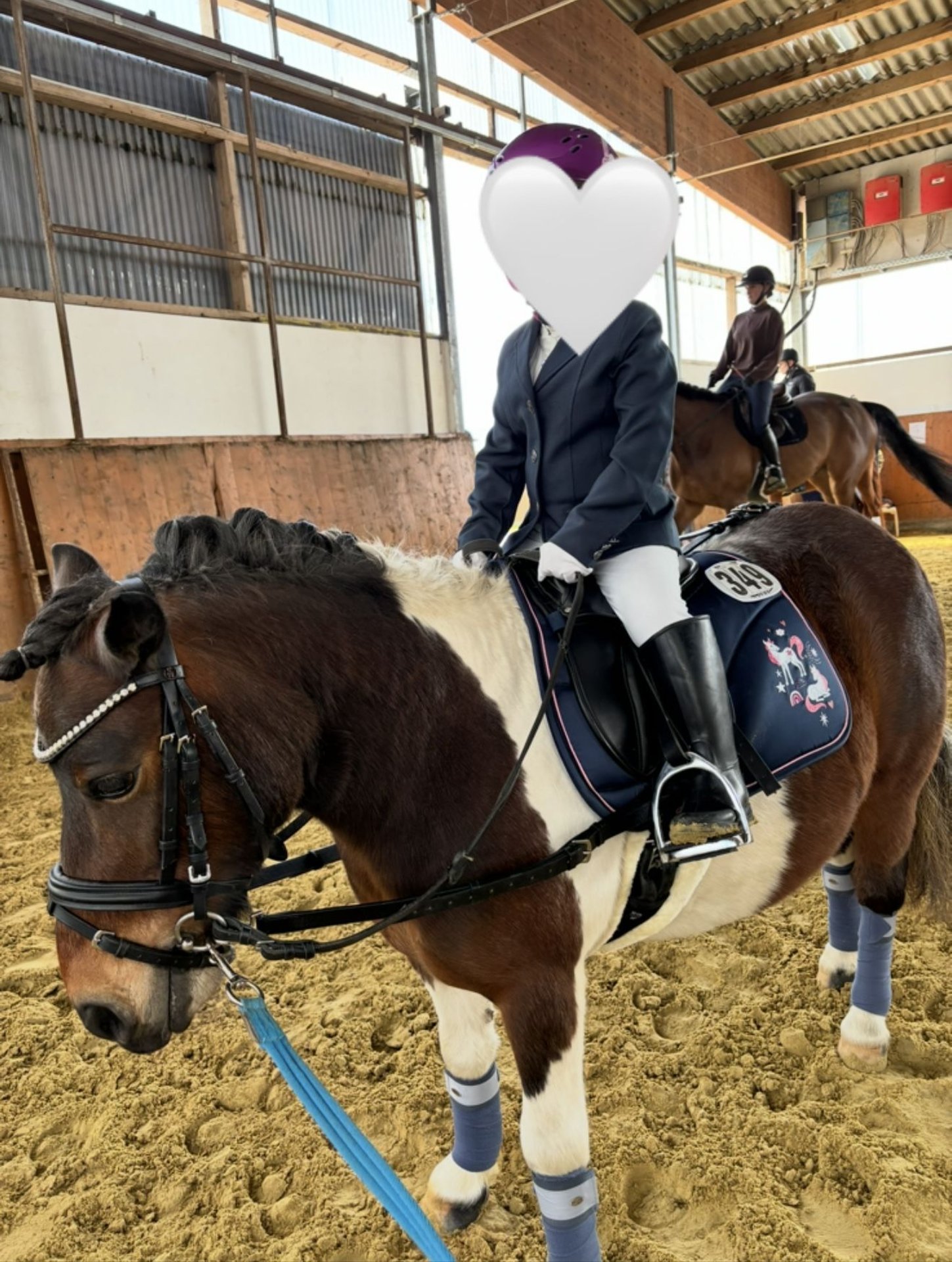 Shetland Ponys Stute 9 Jahre 95 cm Schecke in Hamm