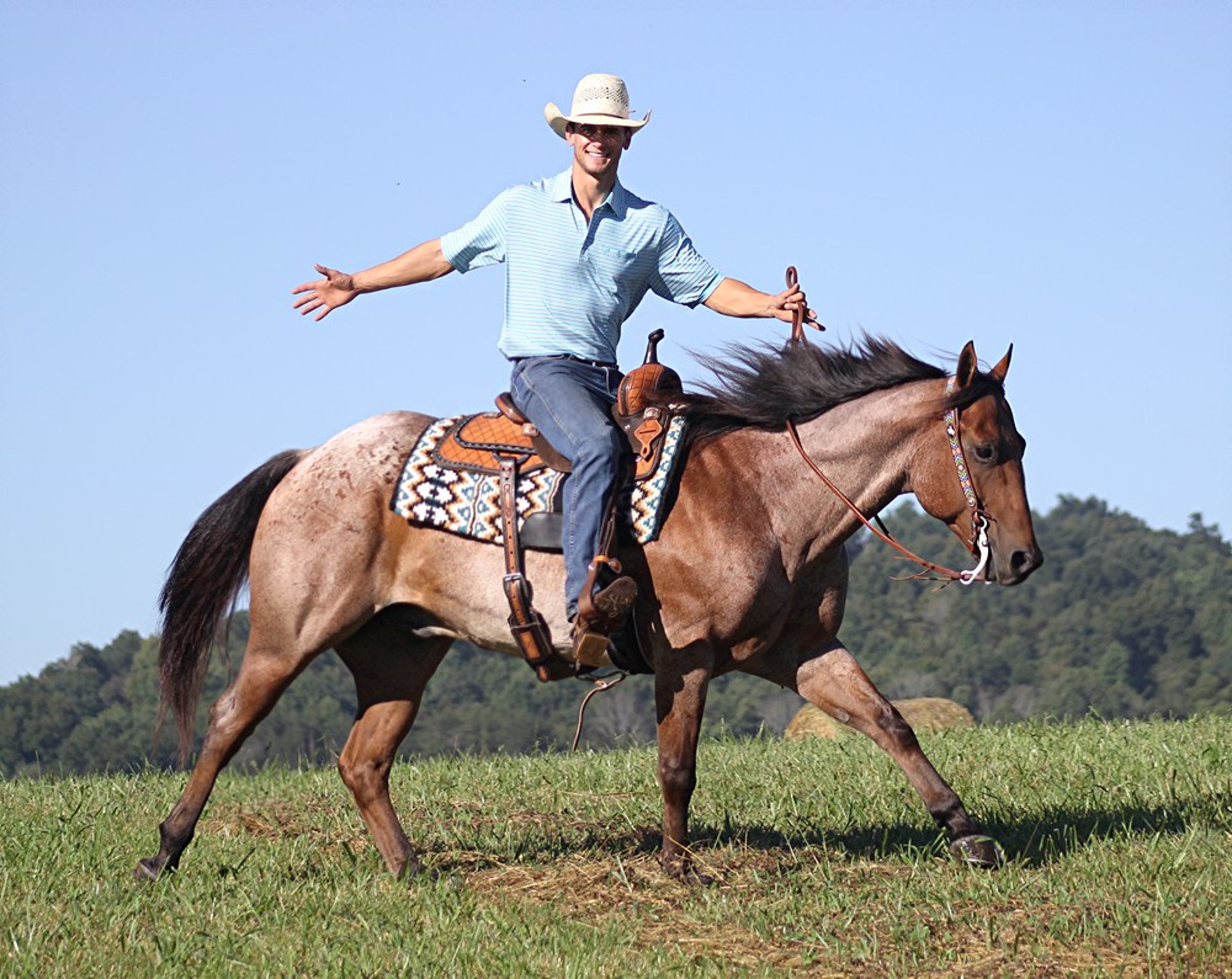 American Quarter Horse Gelding 15 years Roan-Bay in Mount Vernon KY