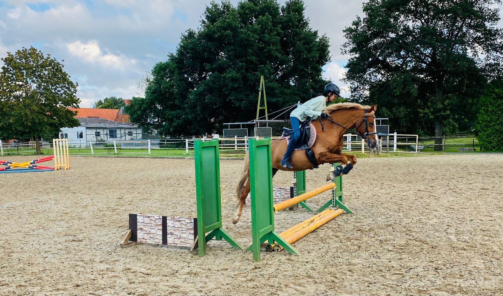 Deutsches Reitpony Stute 22 Jahre 144 cm Fuchs in Hagen-Grinden