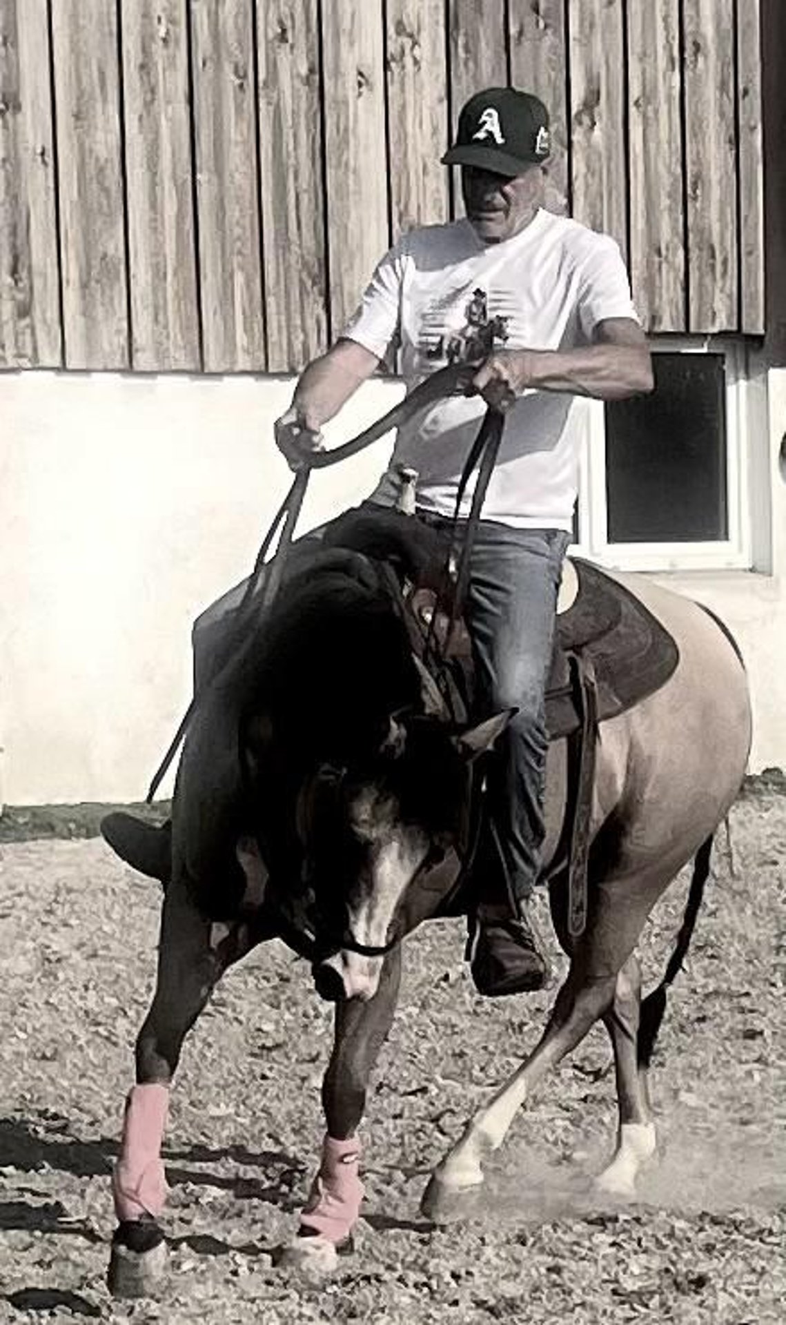 Western Training & Western Lessons