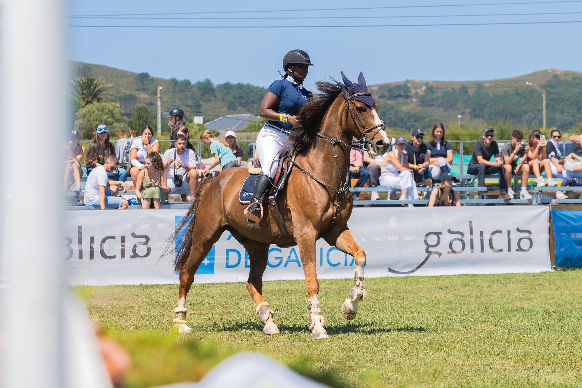 Spanish Sporthorse Gelding 13 years Chestnut in Anxeles, Os (Santa ...