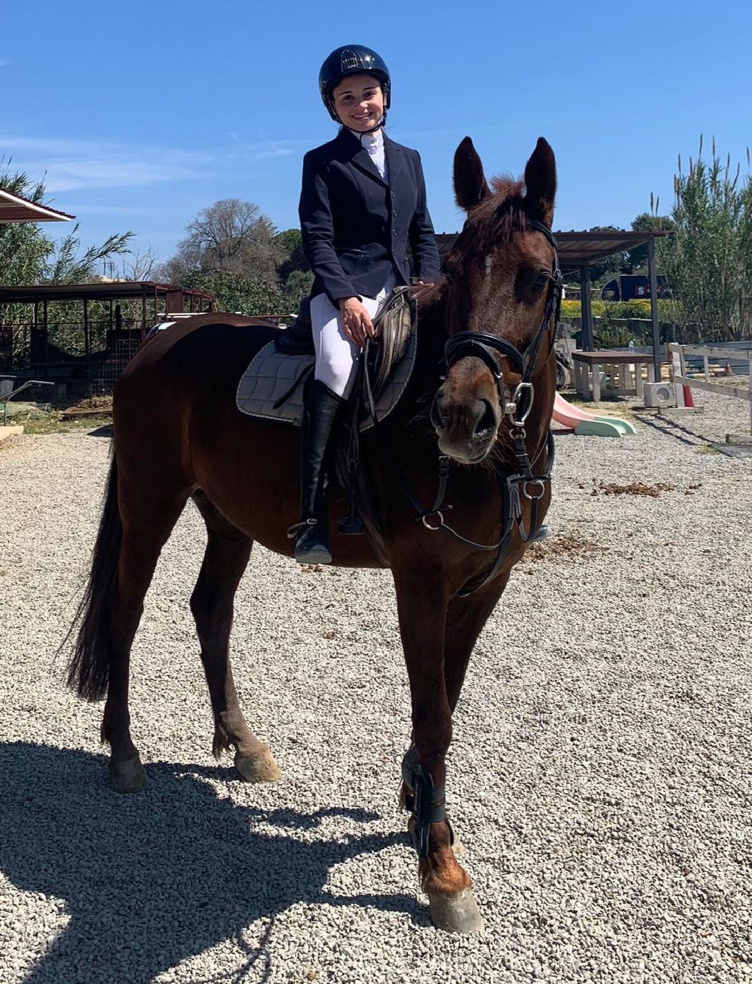 Sella Italiano Mare 10 years 14,2 hh Chestnut-Red in Palermo