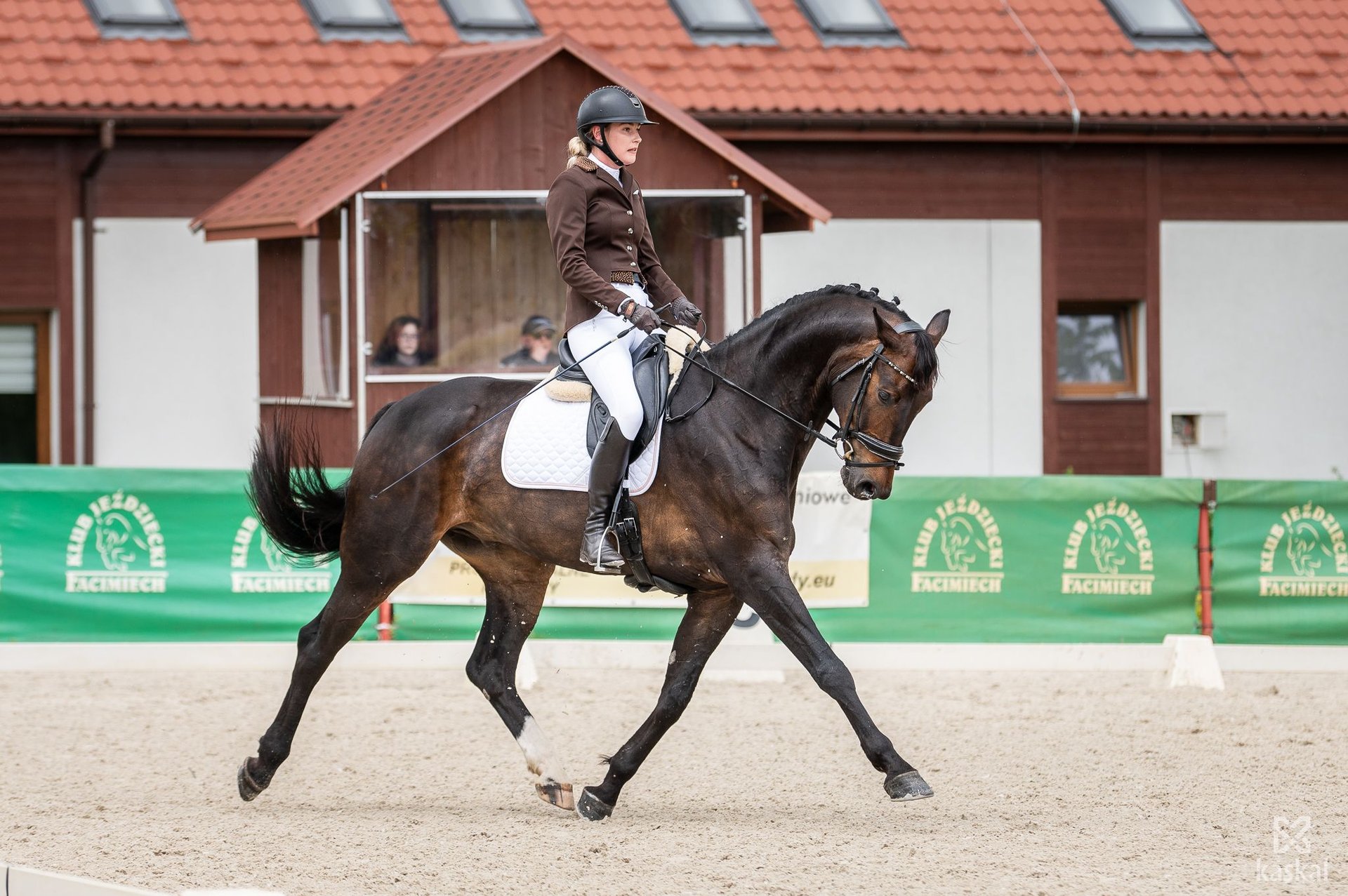Oldenburg Gelding 7 years 17 hh Bay-Dark in Wisła