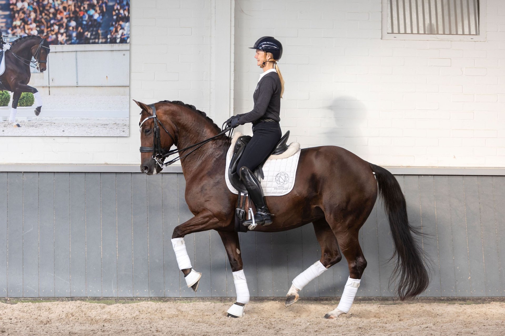 Oldenburg Mare 11 years 16 hh Chestnut in Harskamp