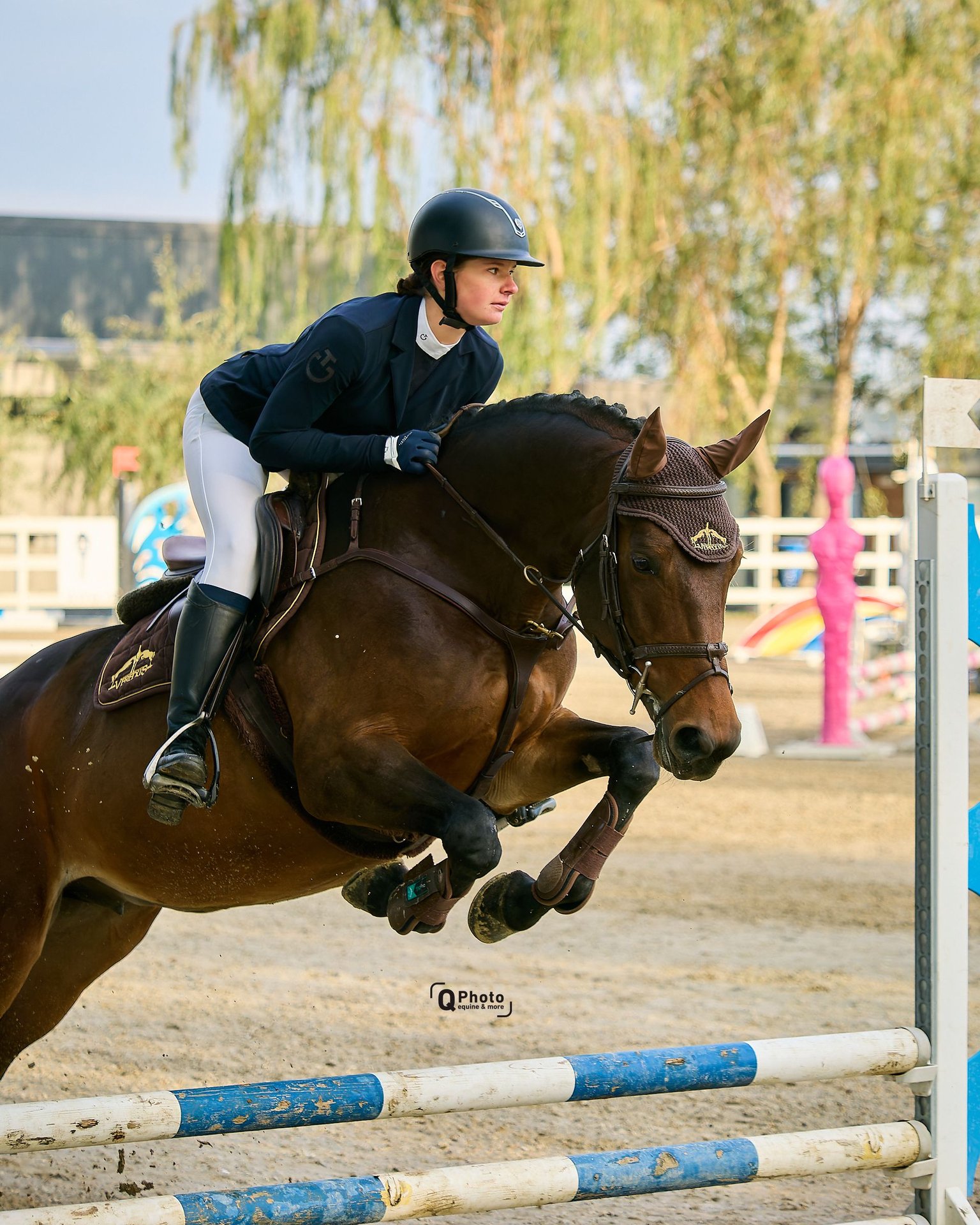 Ukrainian Riding Horse Mare 9 years 16 hh Bay in Kronenberg