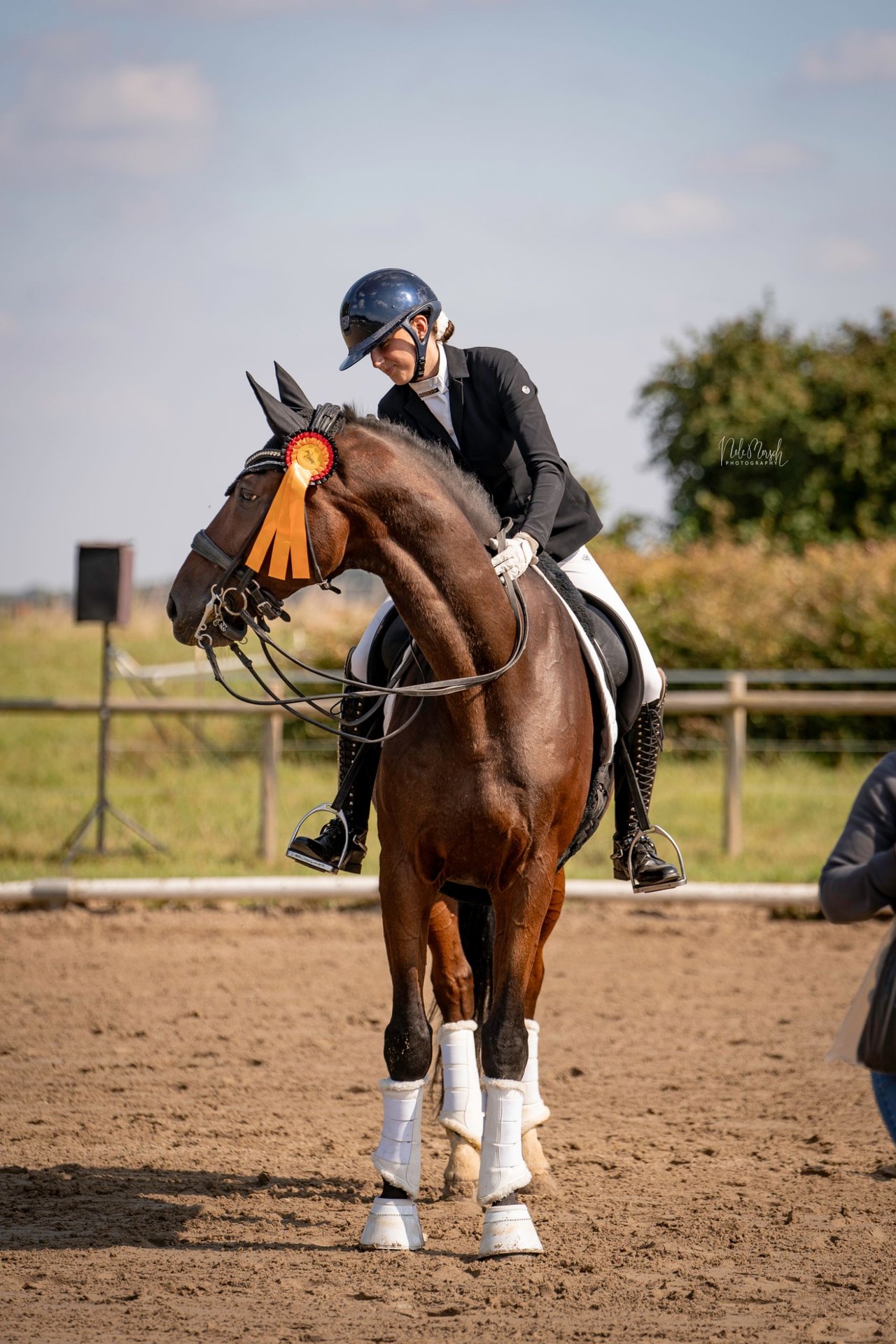 Oldenburg Gelding 15 years 17 hh Brown in Kempen
