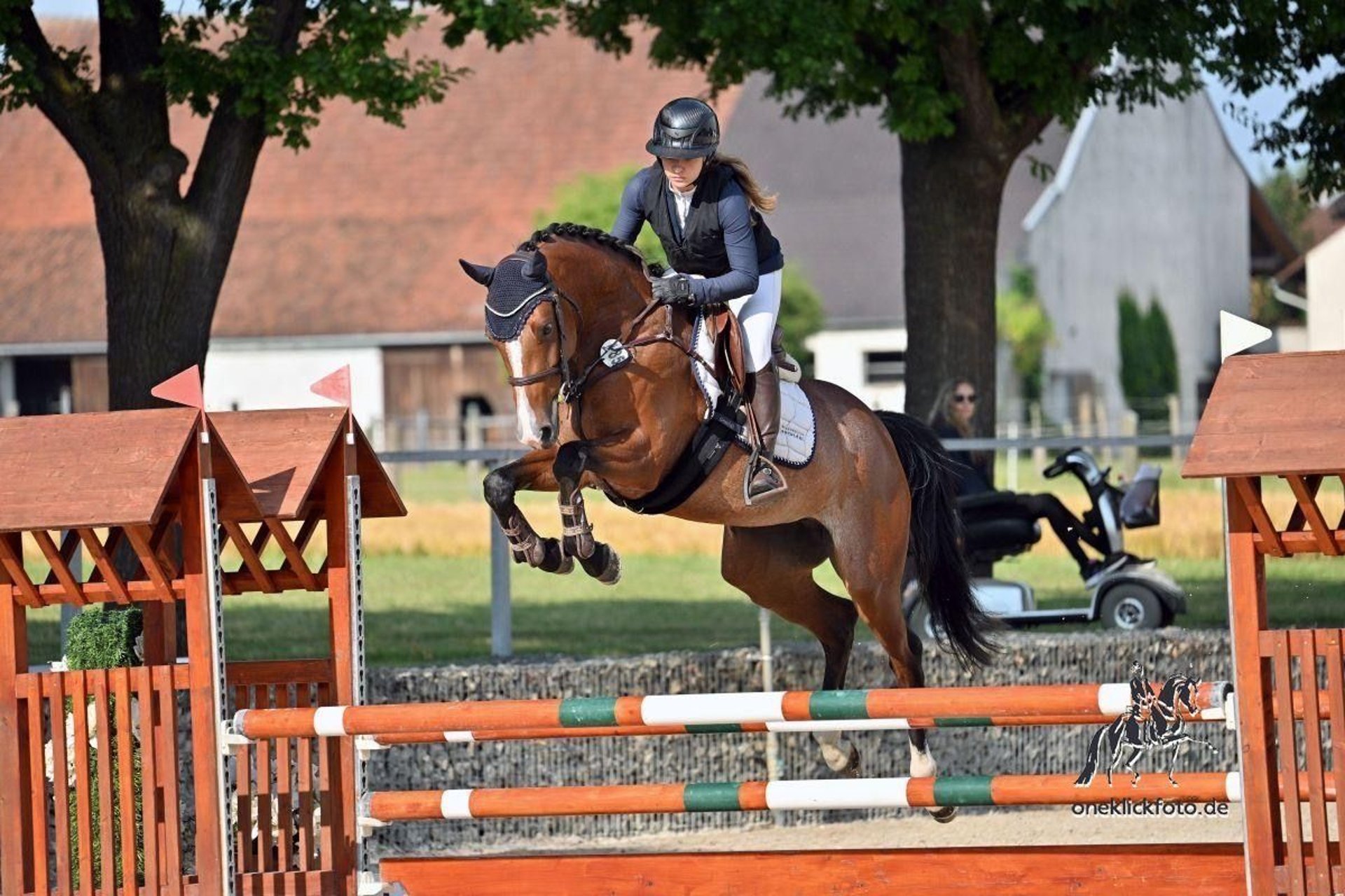 German Riding Pony Mare 6 years 14,2 hh Brown in Fraunberg
