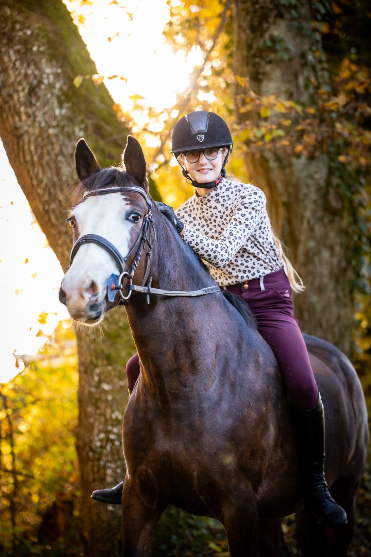 French riding pony Mare 5 years 13,2 hh Brown in Courtedoux