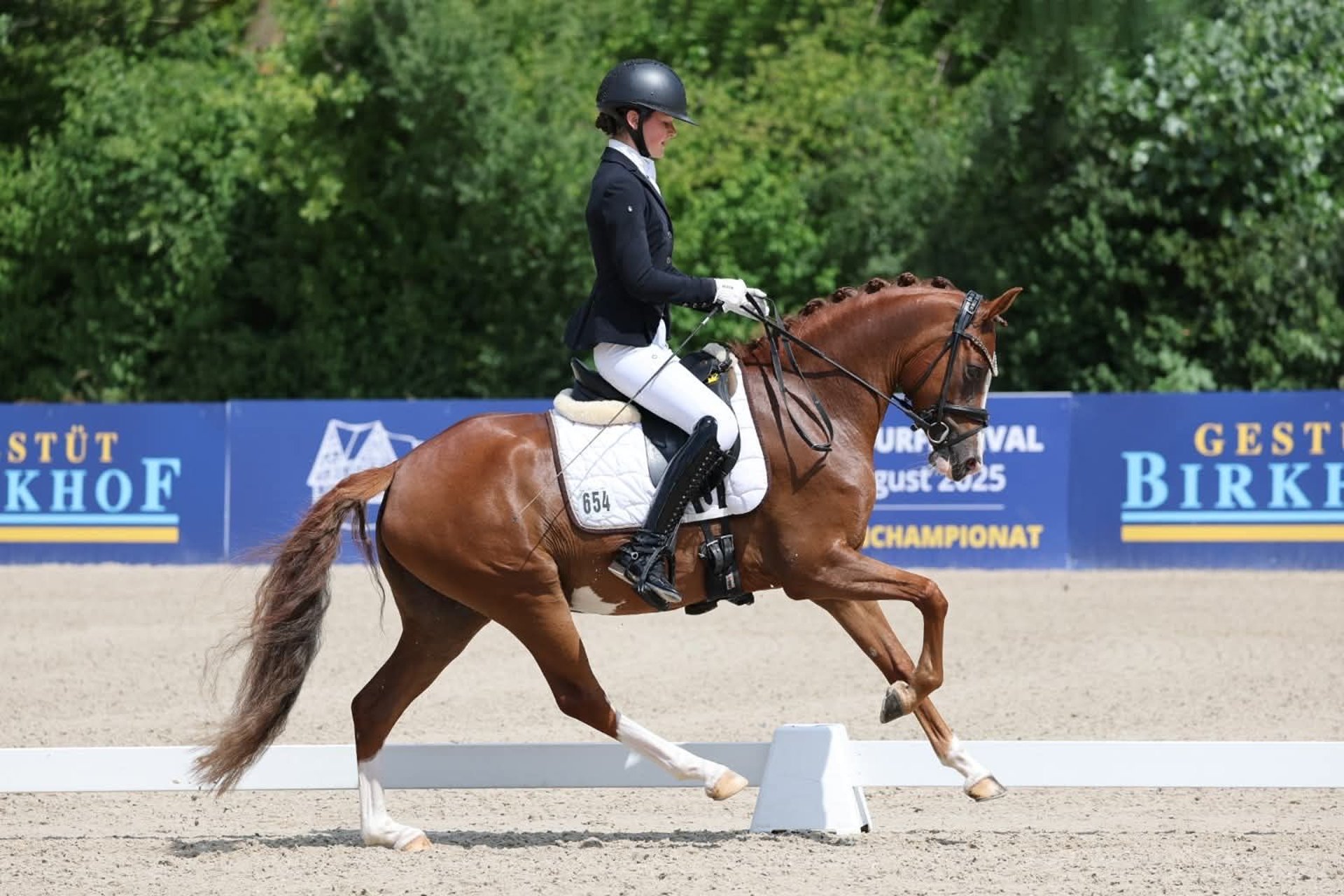 German Riding Pony Mare 5 years 14,1 hh Chestnut-Red in Schwäbisch Gmünd