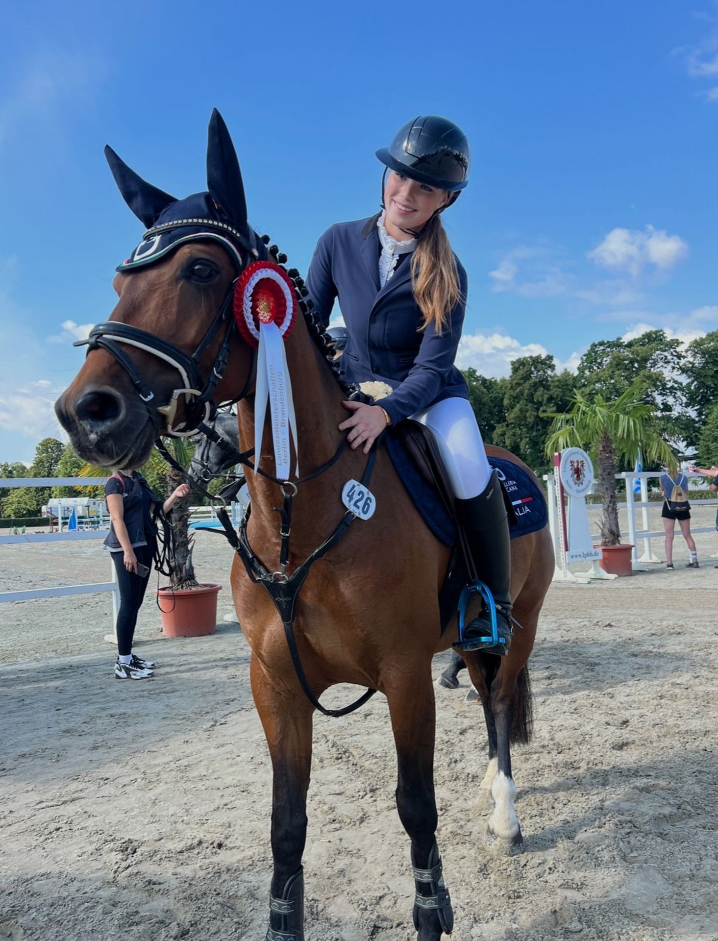 German Riding Pony Mare 6 years 14,1 hh Brown in Wentorf bei Hamburg