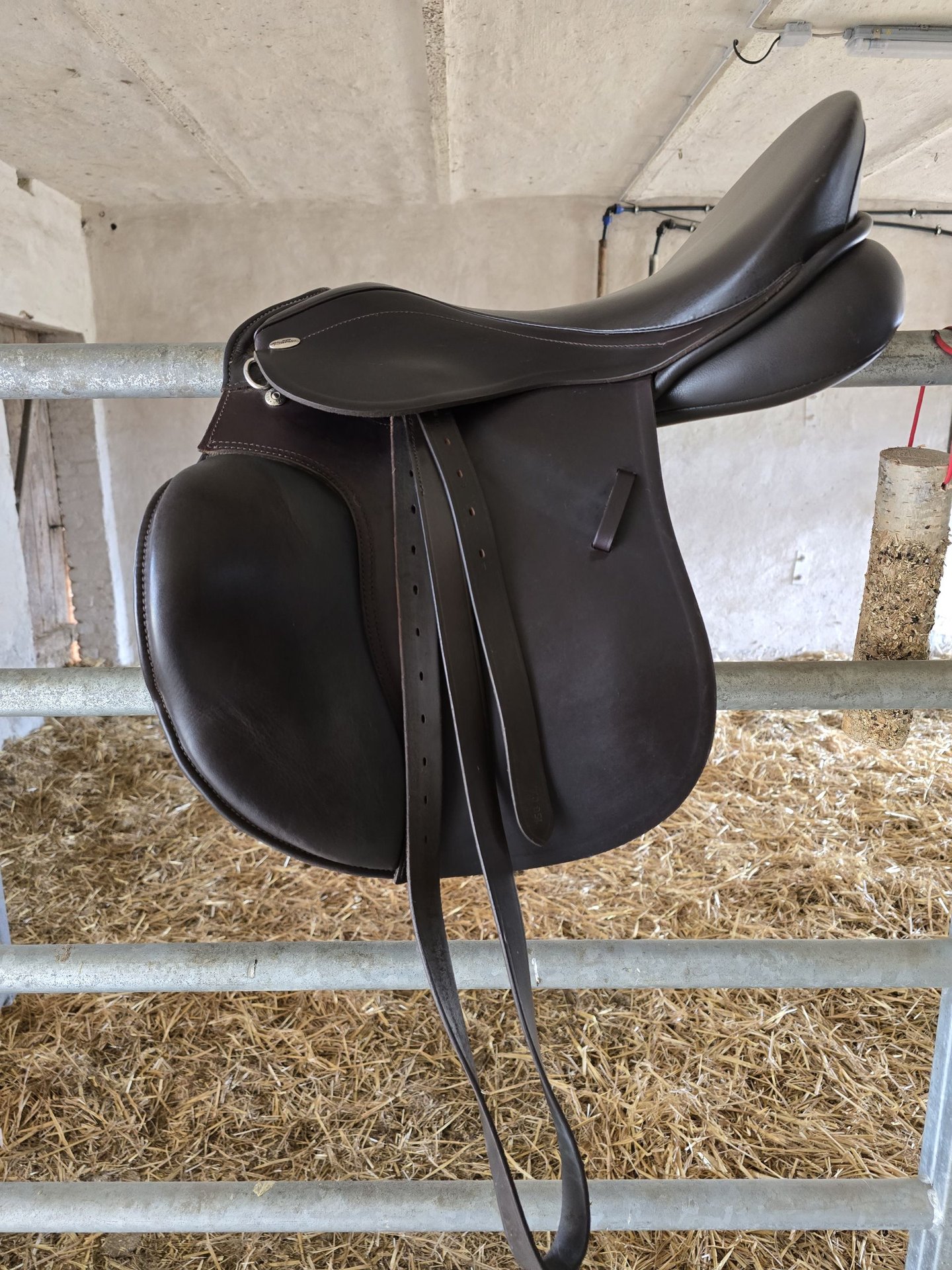 Kentauer VS Sattel Apollon