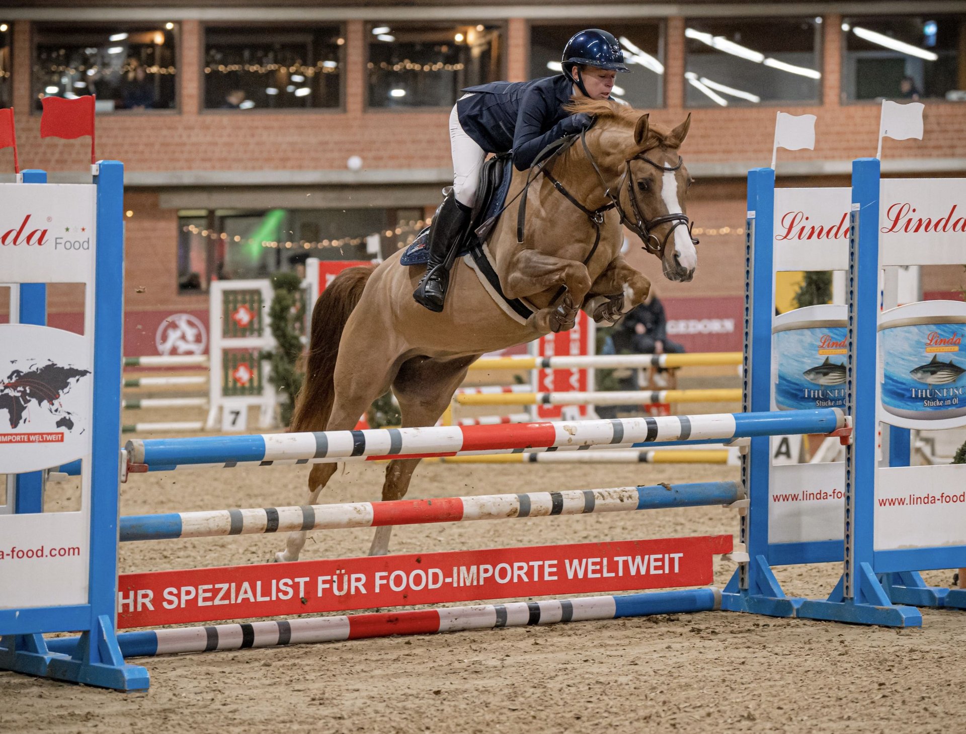Niemiecki kuc wierzchowy Klacz 5 lat 147 cm Kasztanowata in Silkerode