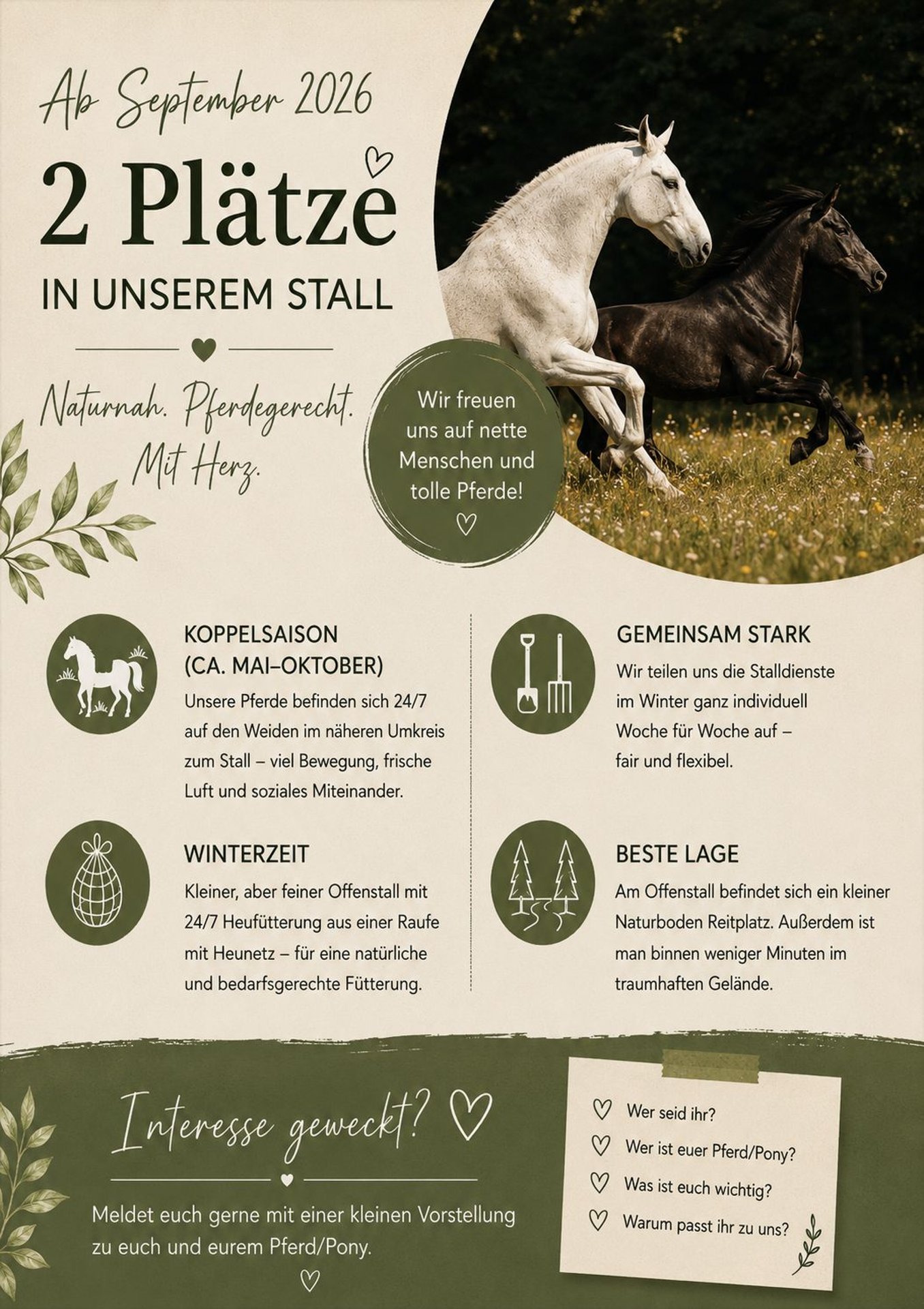 Vrijplaatsen voor 2 paarden in de paddock