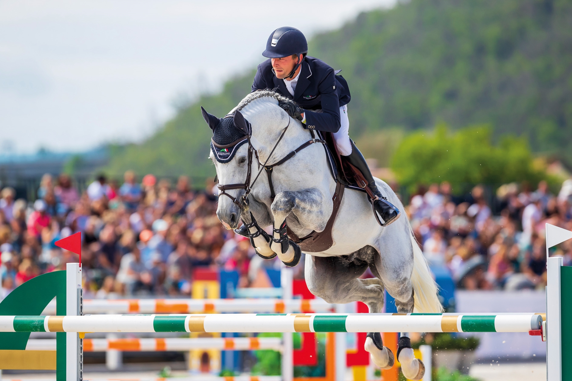 DIARON Oldenburger Springpferd Hengst Schimmel in Steinfeld (Oldenburg)