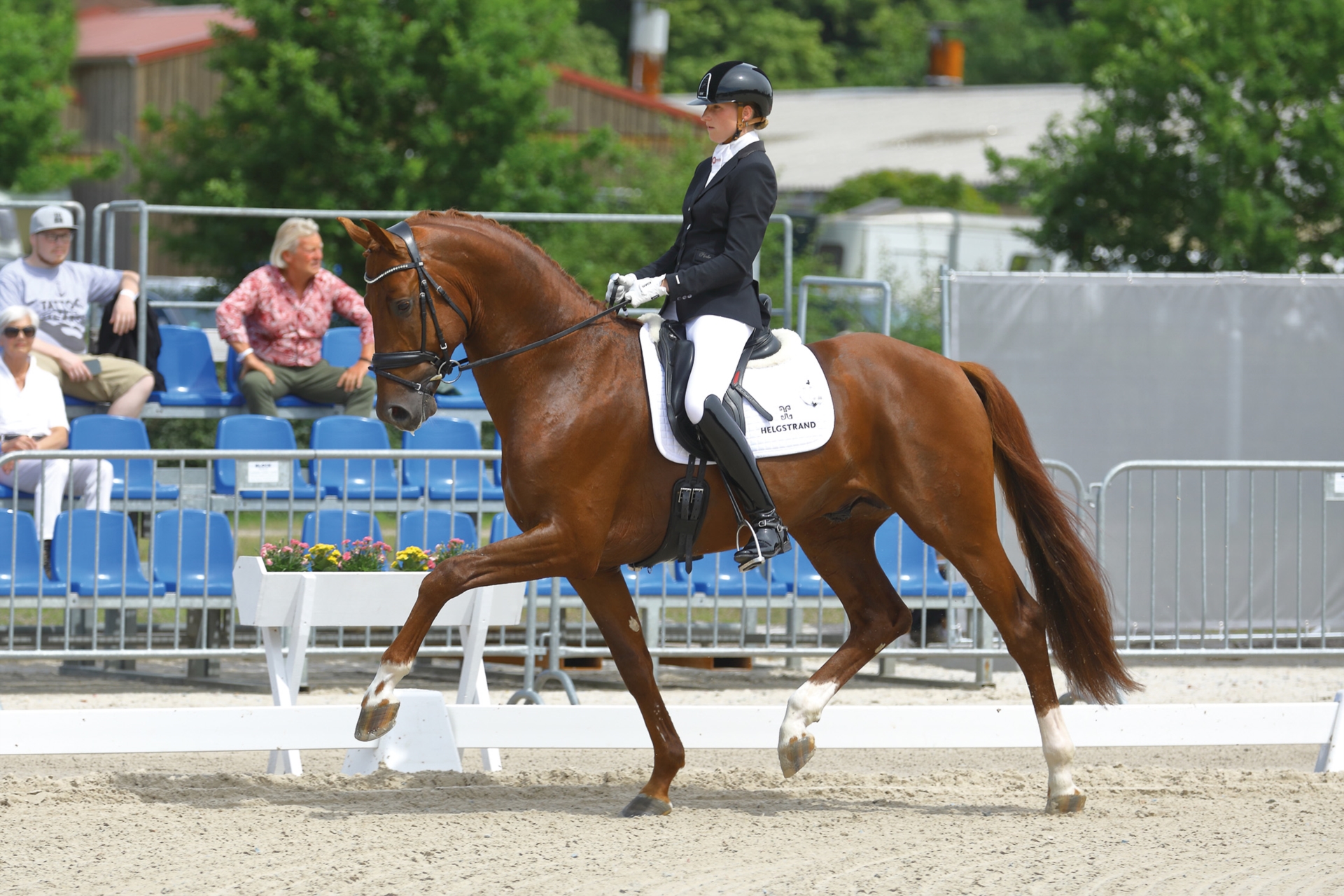VITALOS Hanoverian Stallion Chestnut-Red in Vodskov