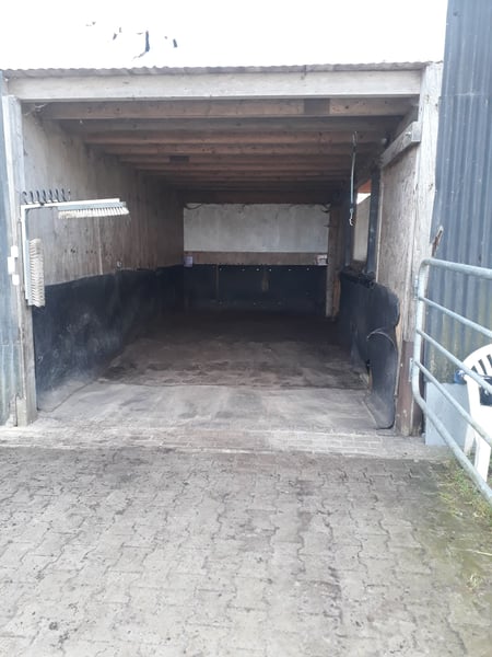 Pasture stall with grazing area for geldings near the North Sea ...
