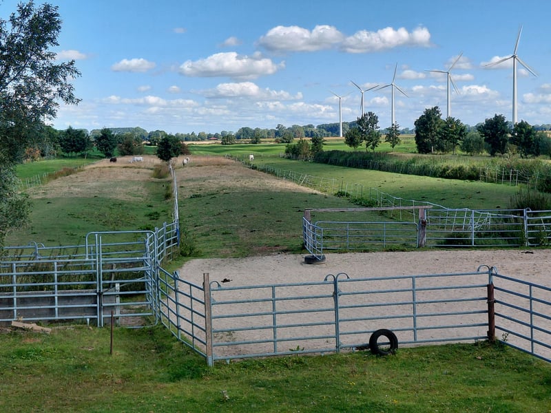 Pasture stall with grazing area for geldings near the North Sea ...
