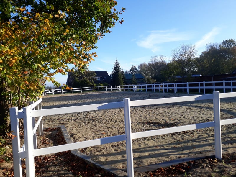 Pasture stall with grazing area for geldings near the North Sea ...