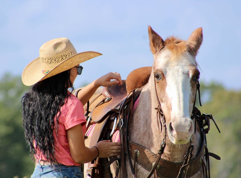 Haflinger Ruin 16 Jaar in Canton TX