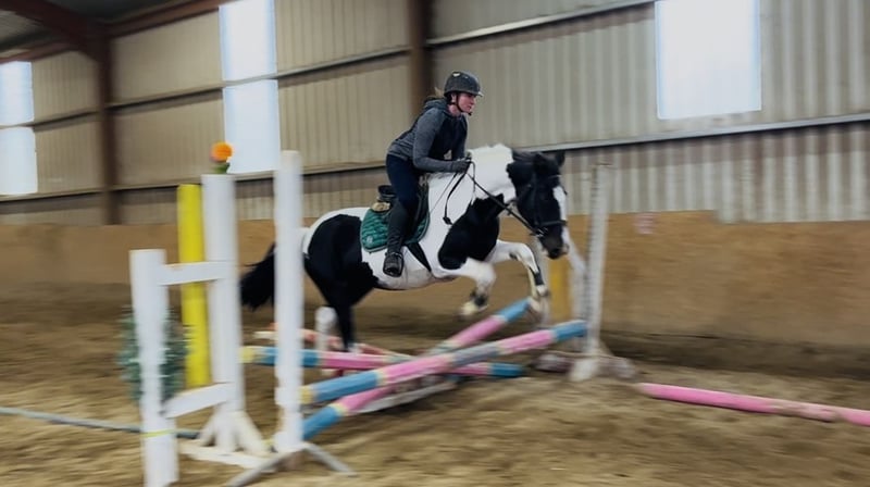 Irish Sport Horse Mare 13 years 15,1 hh Pinto in Sligo