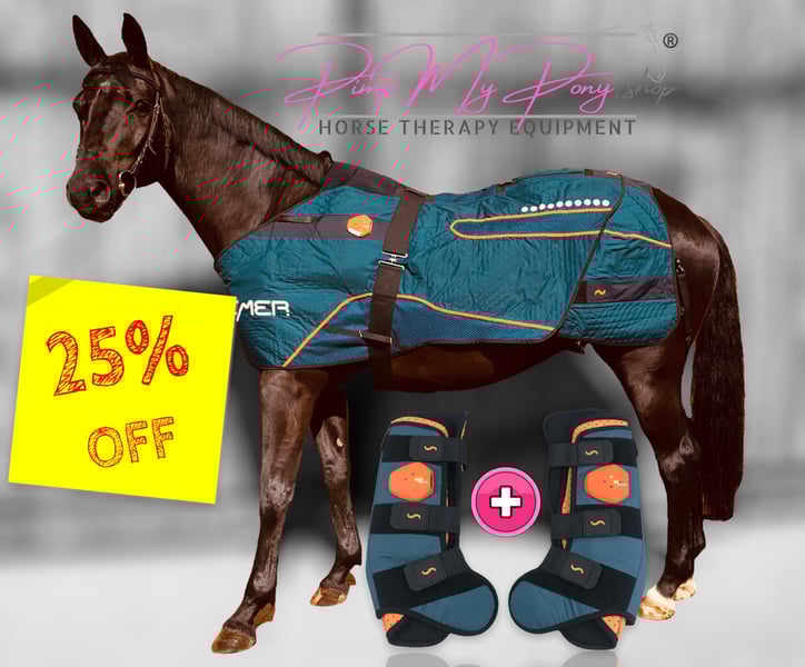 BEMER Horse Set (V3) Life Improved BEMER Rentals, 60% OFF