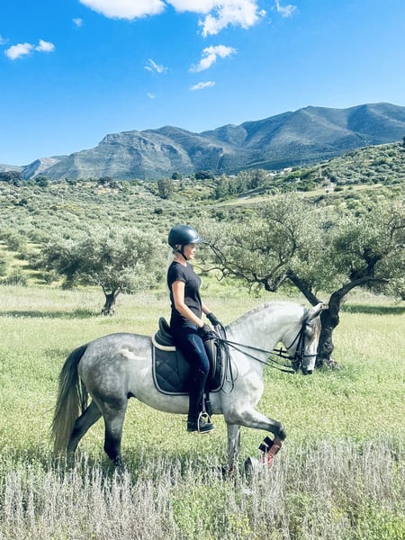 Lusitano Gelding 6 years 15.1 hh Grey in Malaga